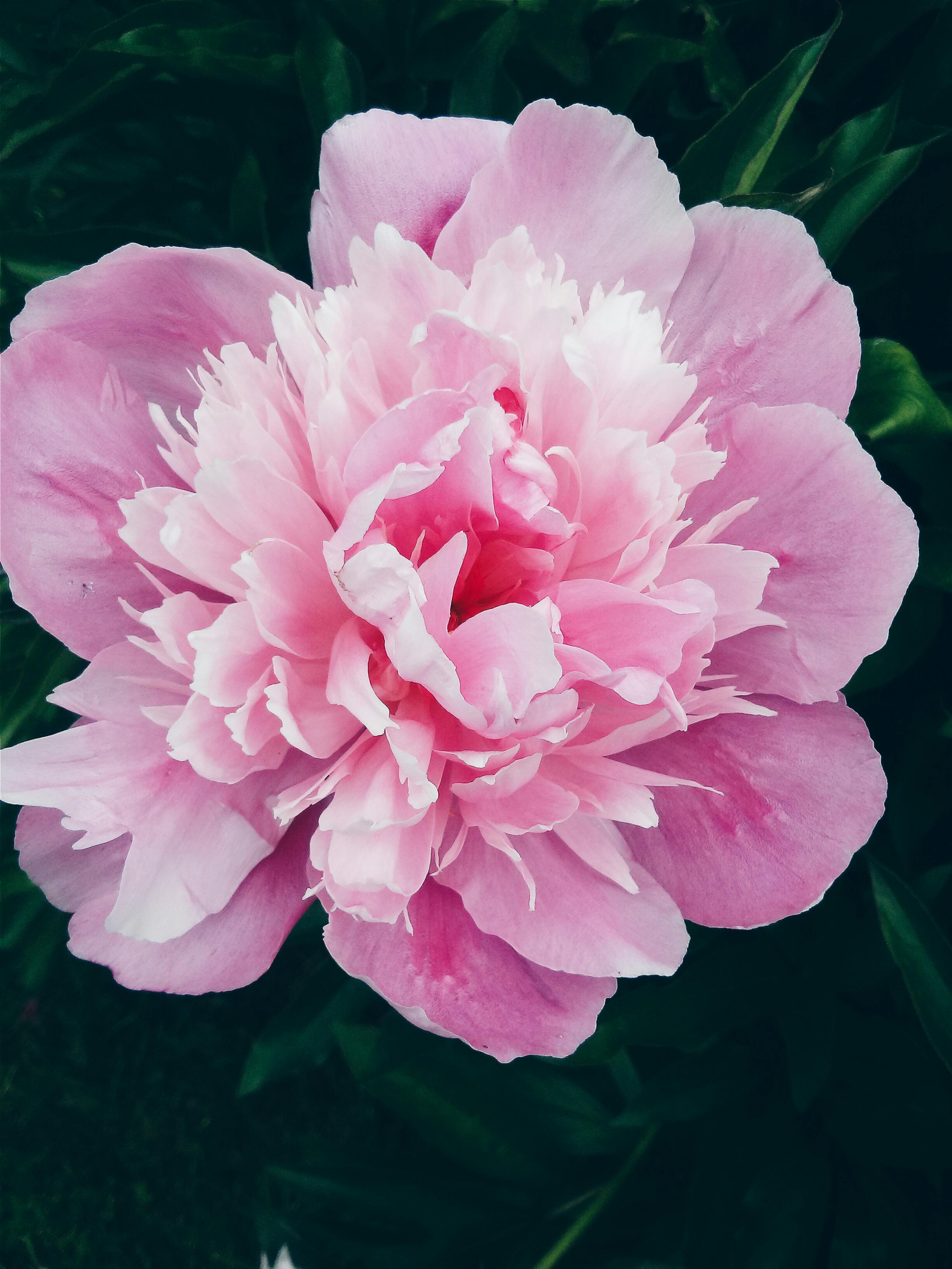 Kristin Li - Photography