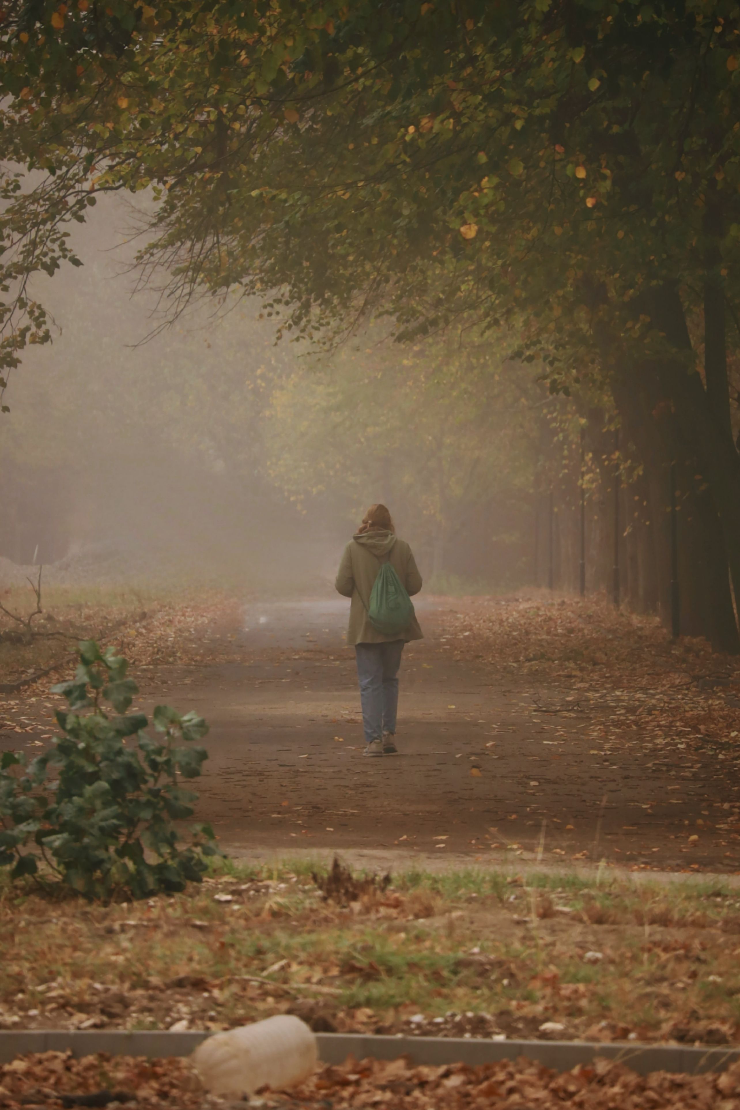 Back View of a Woman Walking in a Park in Autumn · Free Stock Photo