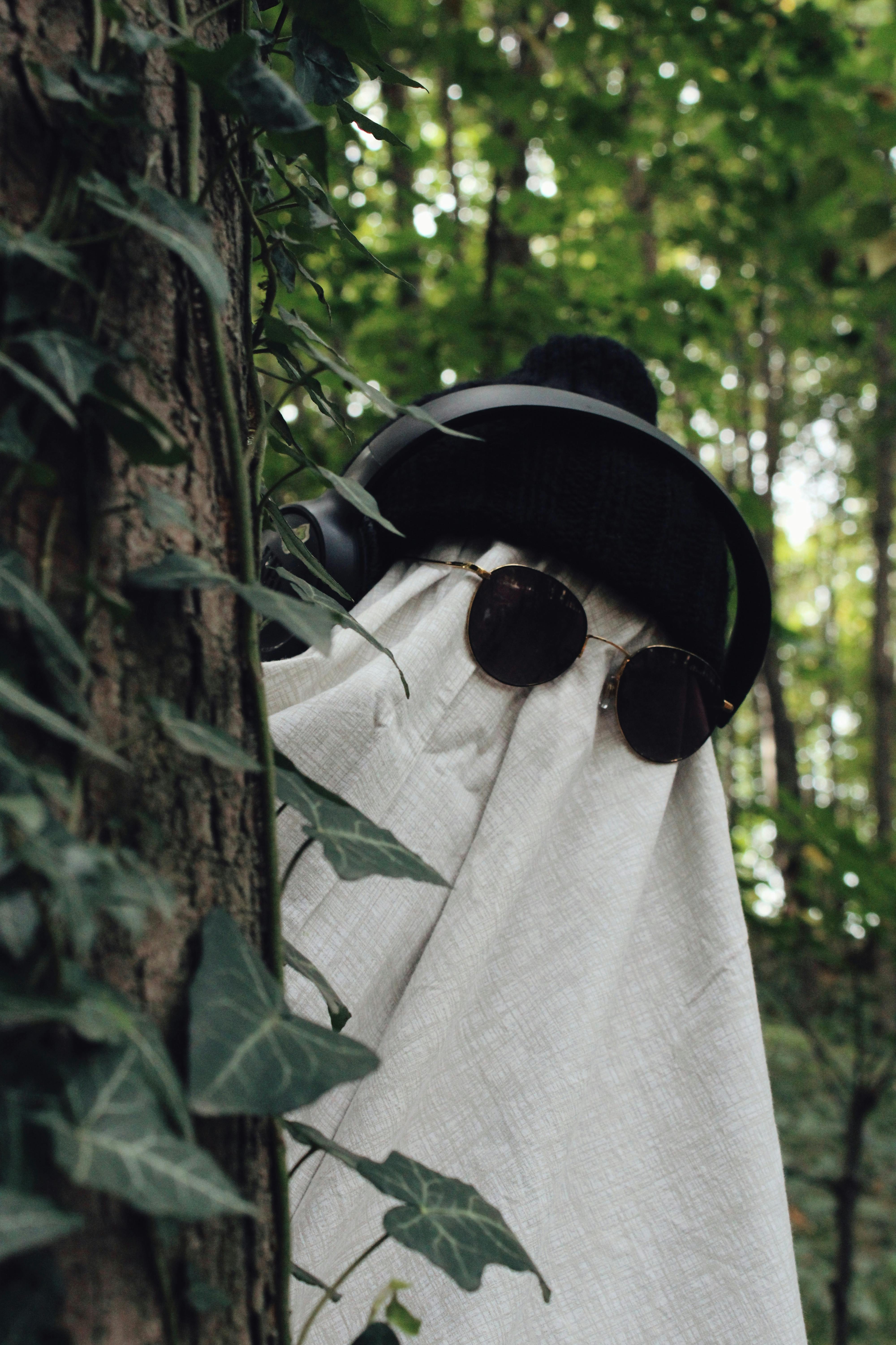 Horror Bos Photos, Download The BEST Free Horror Bos Stock Photos & HD ...