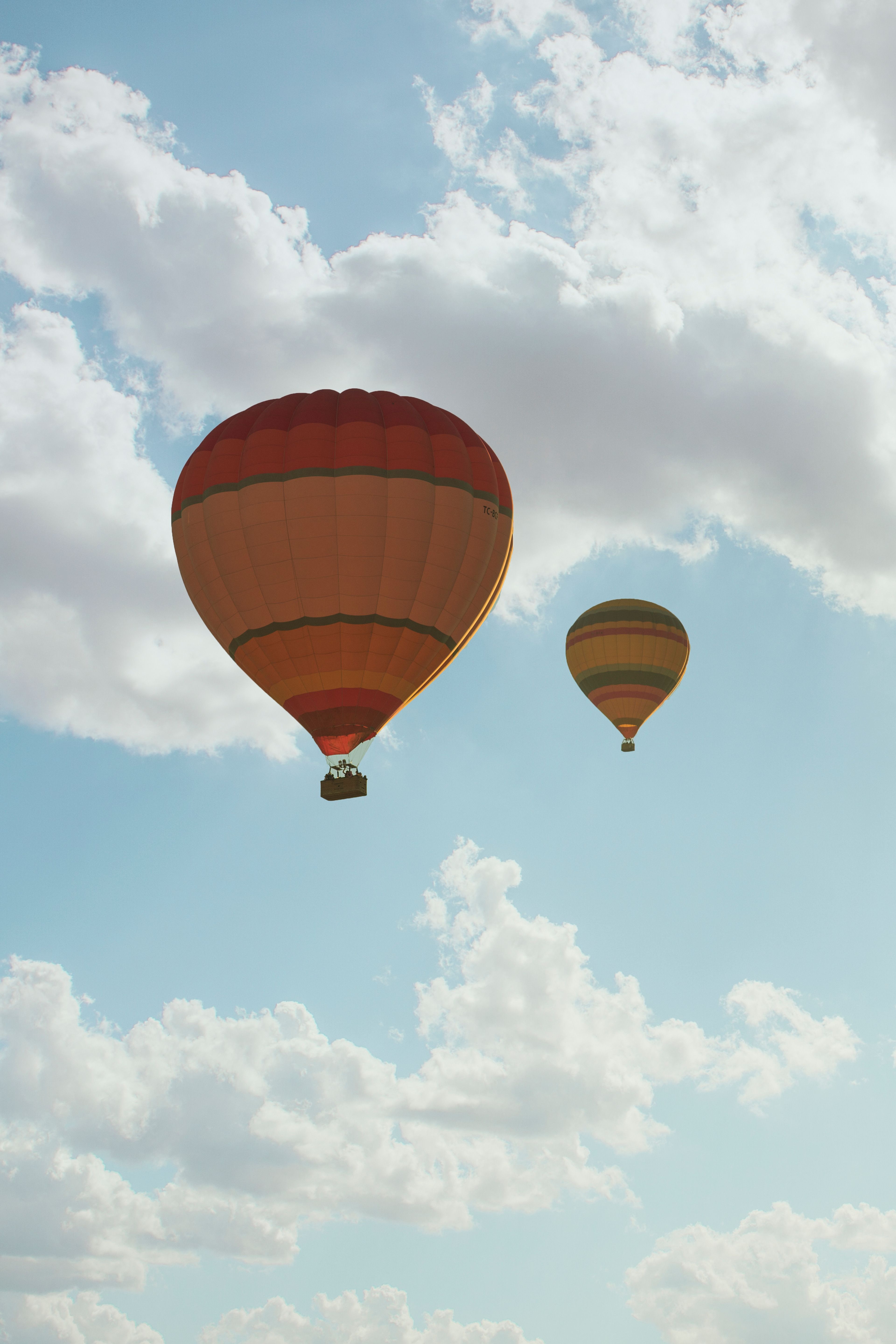 Balloons Flying in the Sky · Free Stock Photo