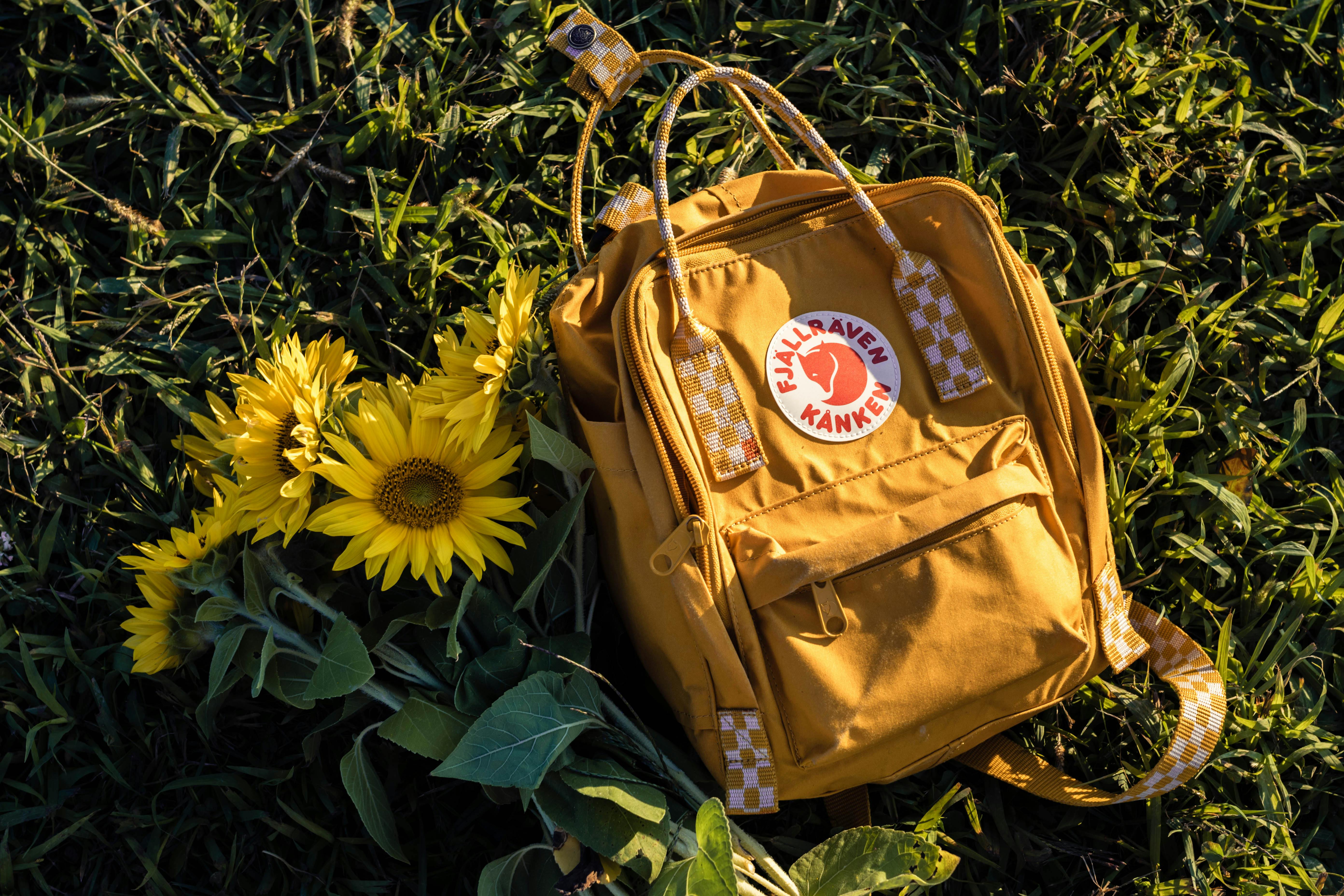 Backpack and Sunflowers · Free Stock Photo