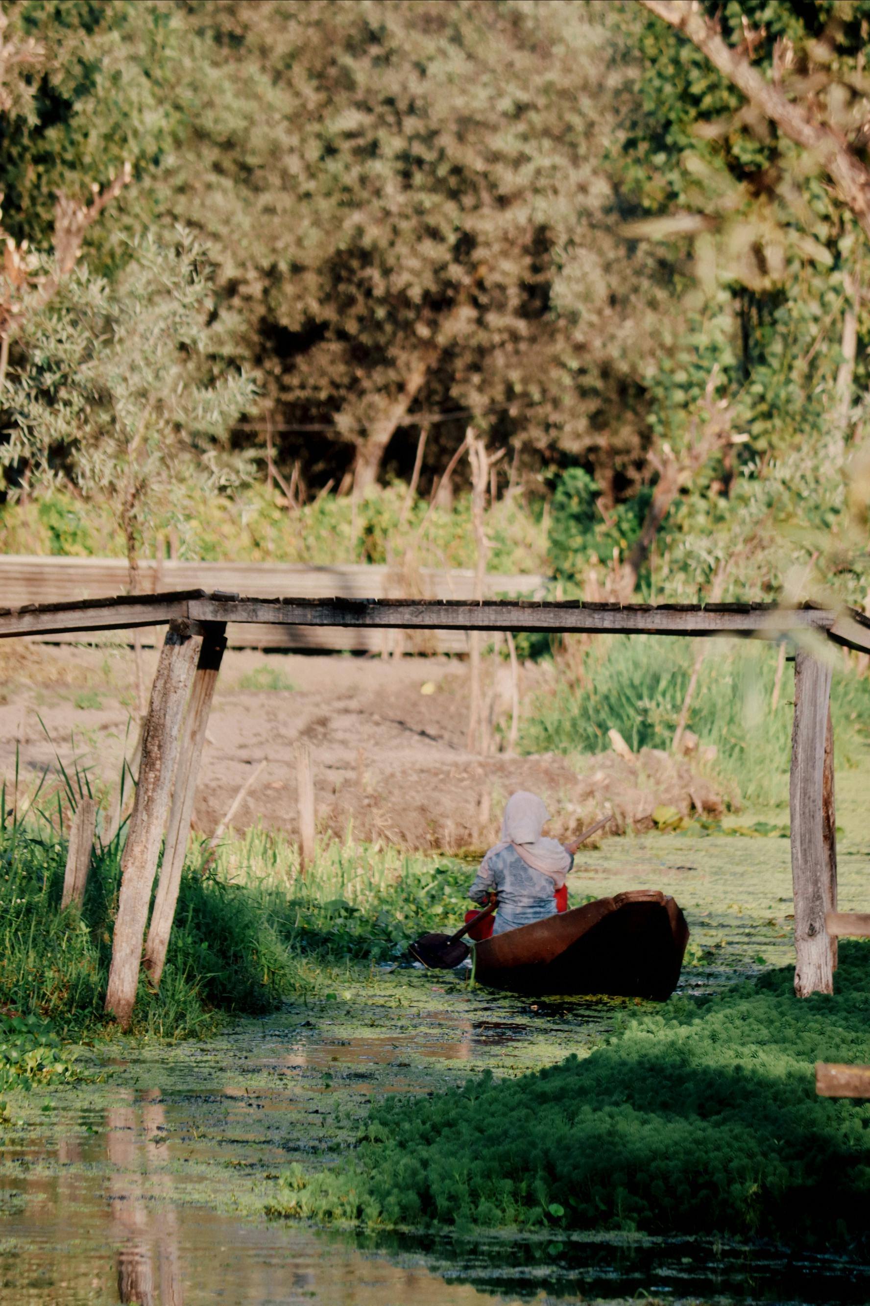 Woman in Rowboat on Canal · Free Stock Photo