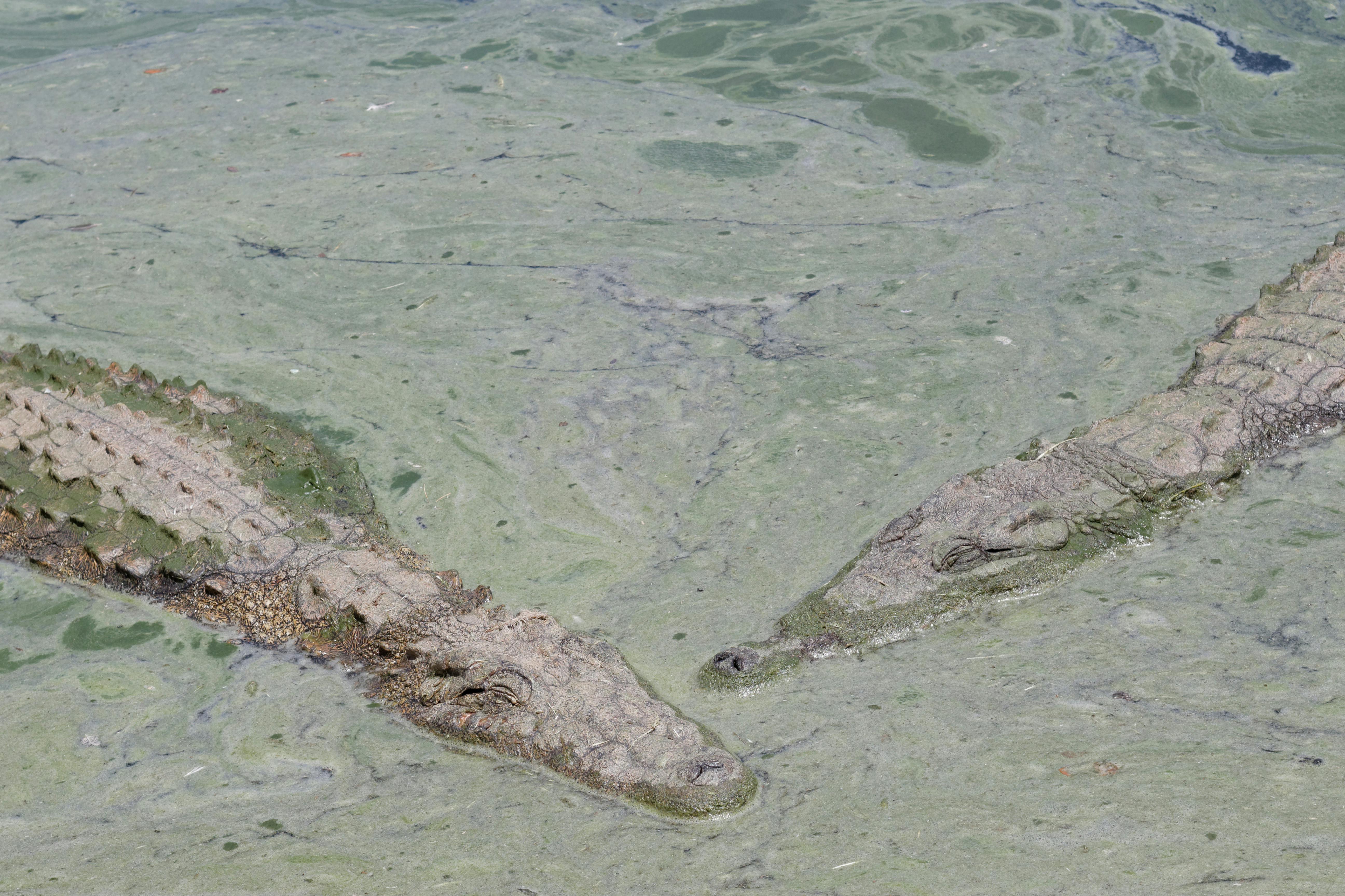 Murky Panoramiques Photos, Download The BEST Free Murky Panoramiques ...