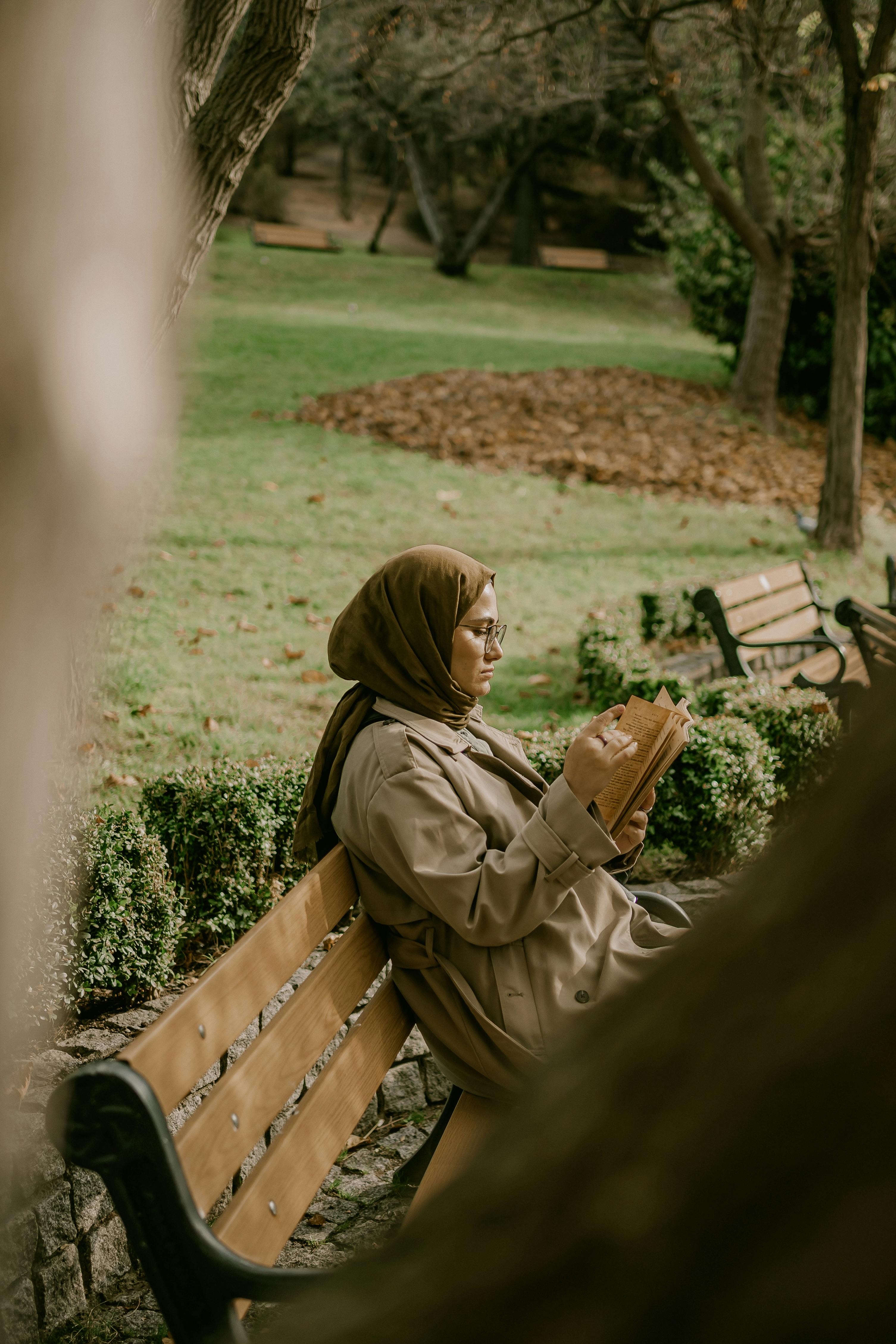 Magnesun Park Photos, Download The BEST Free Magnesun Park Stock Photos ...