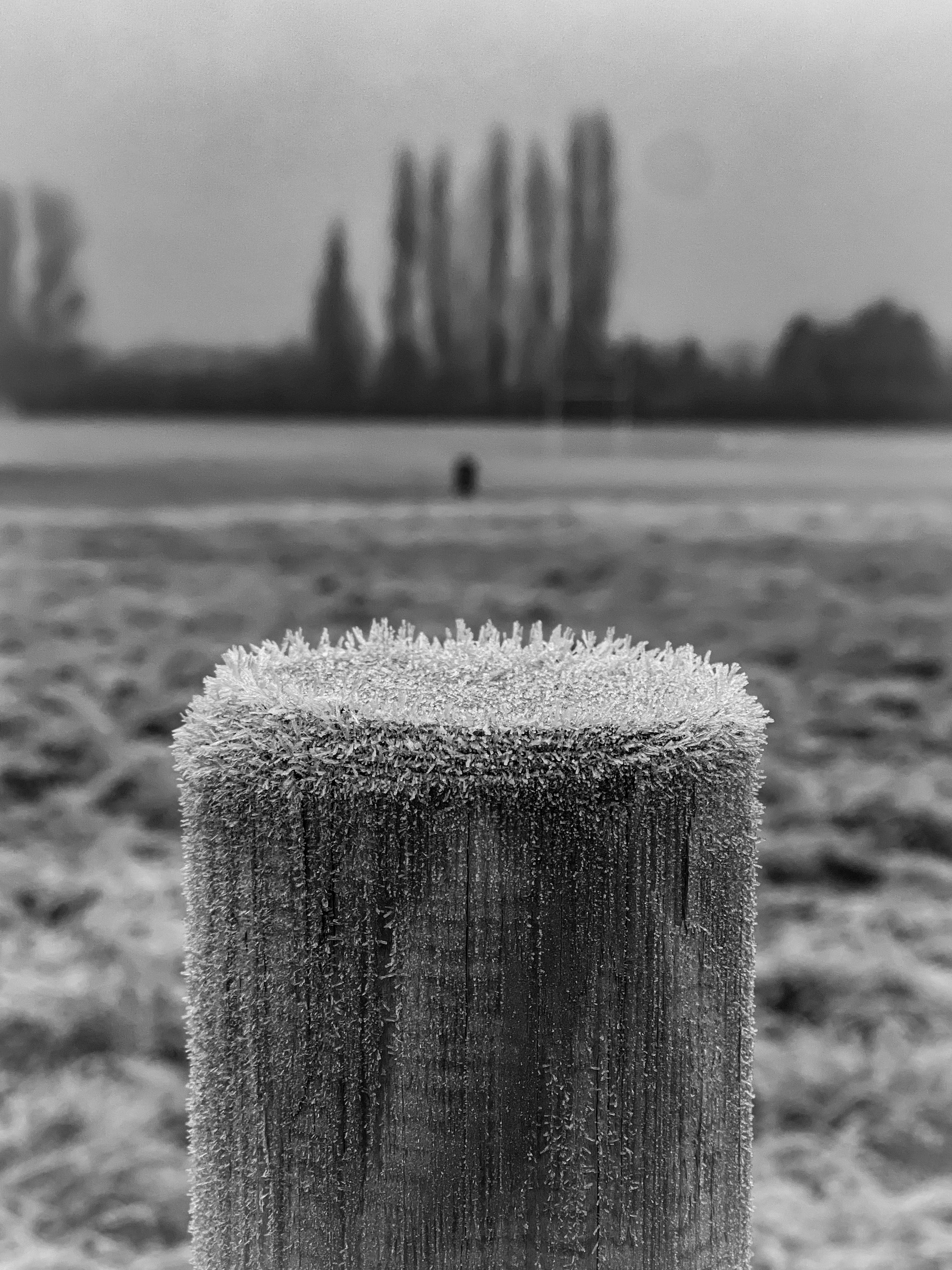 Pole Star Photos, Download The BEST Free Pole Star Stock Photos & HD Images