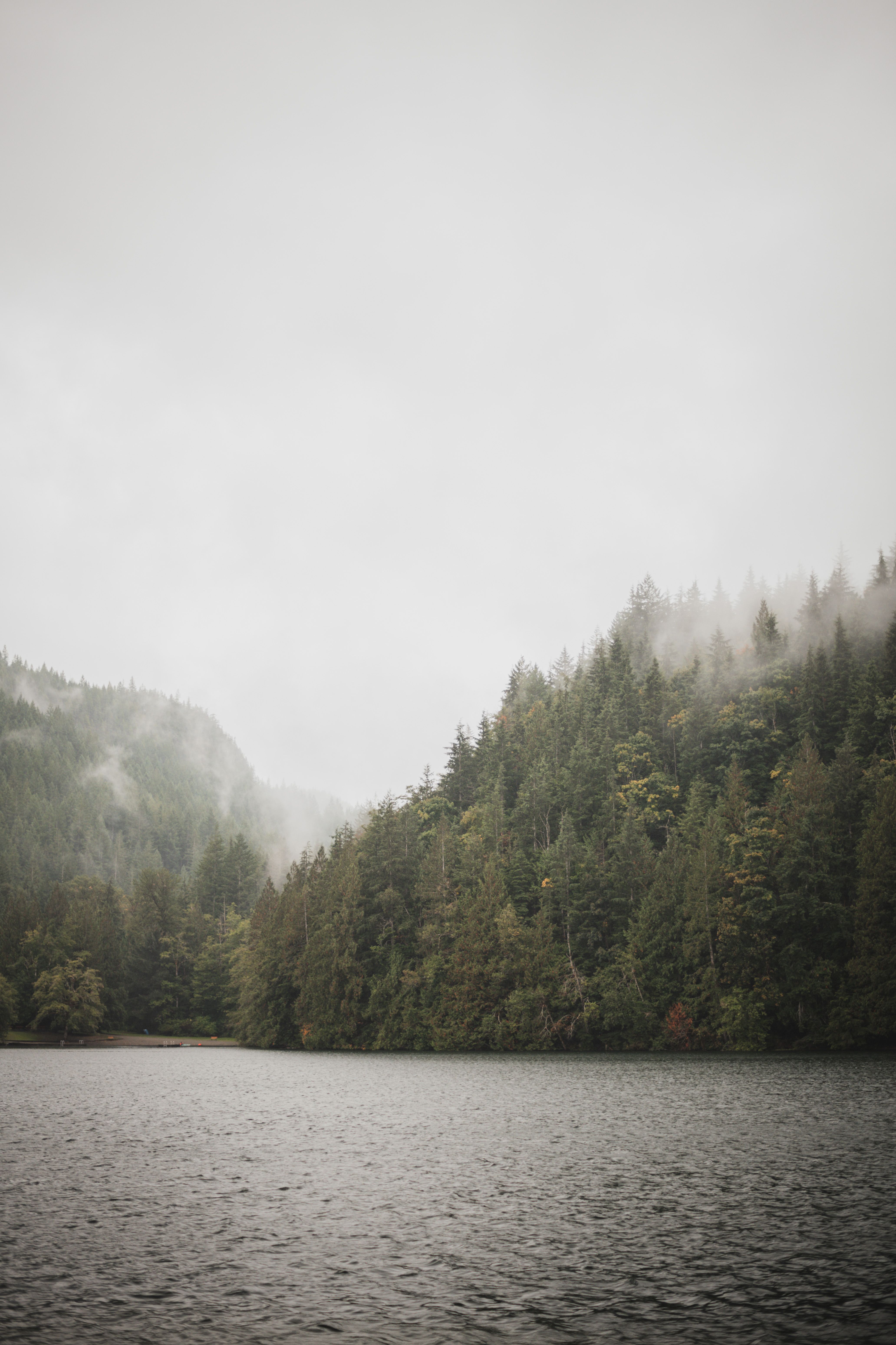Foggy Forest Lake Wallpaper