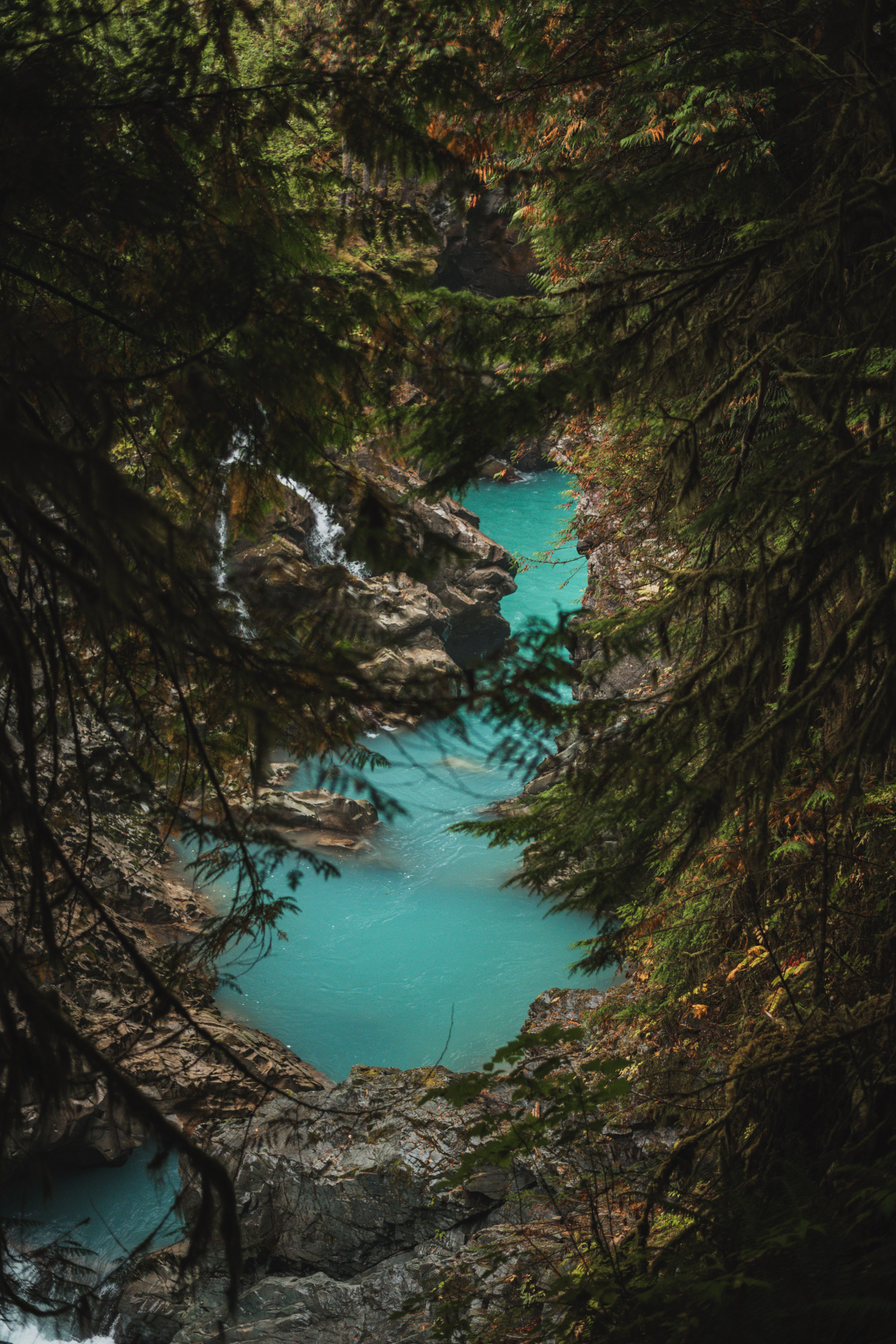 Scenic View of River · Free Stock Photo
