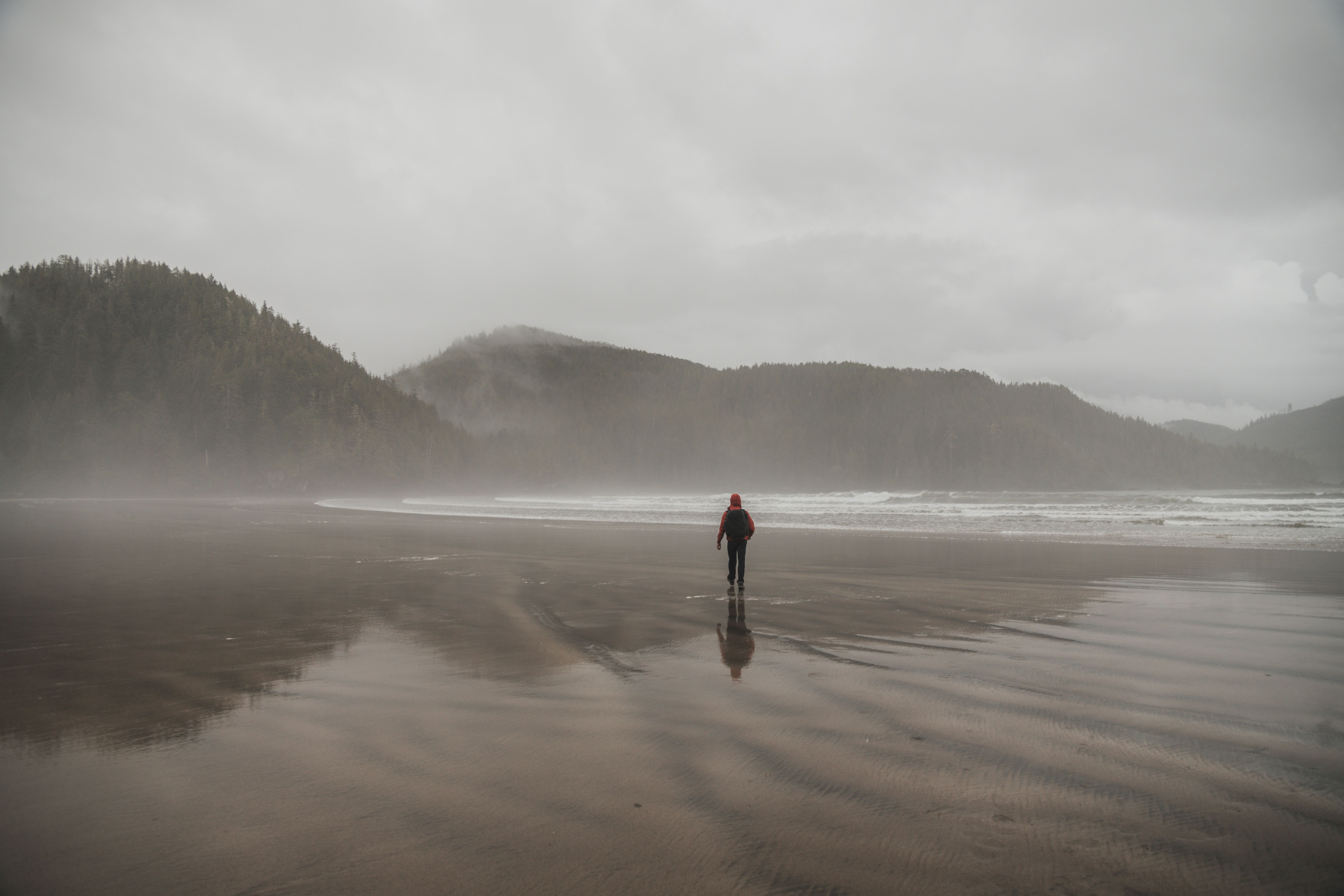 Person walking on Sandy Beach near Water · Free Stock Photo