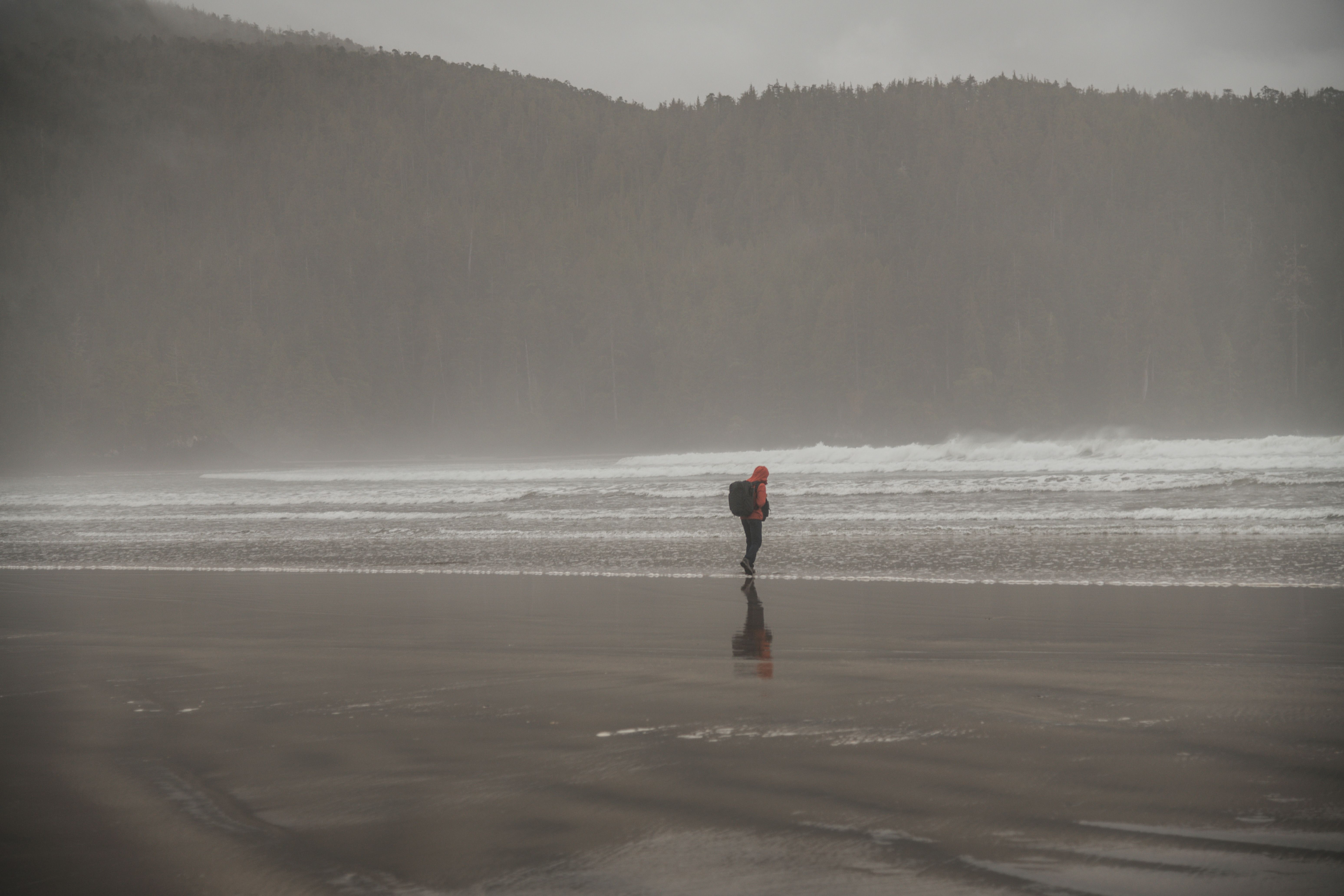 Person walking on Sandy Beach near Water · Free Stock Photo