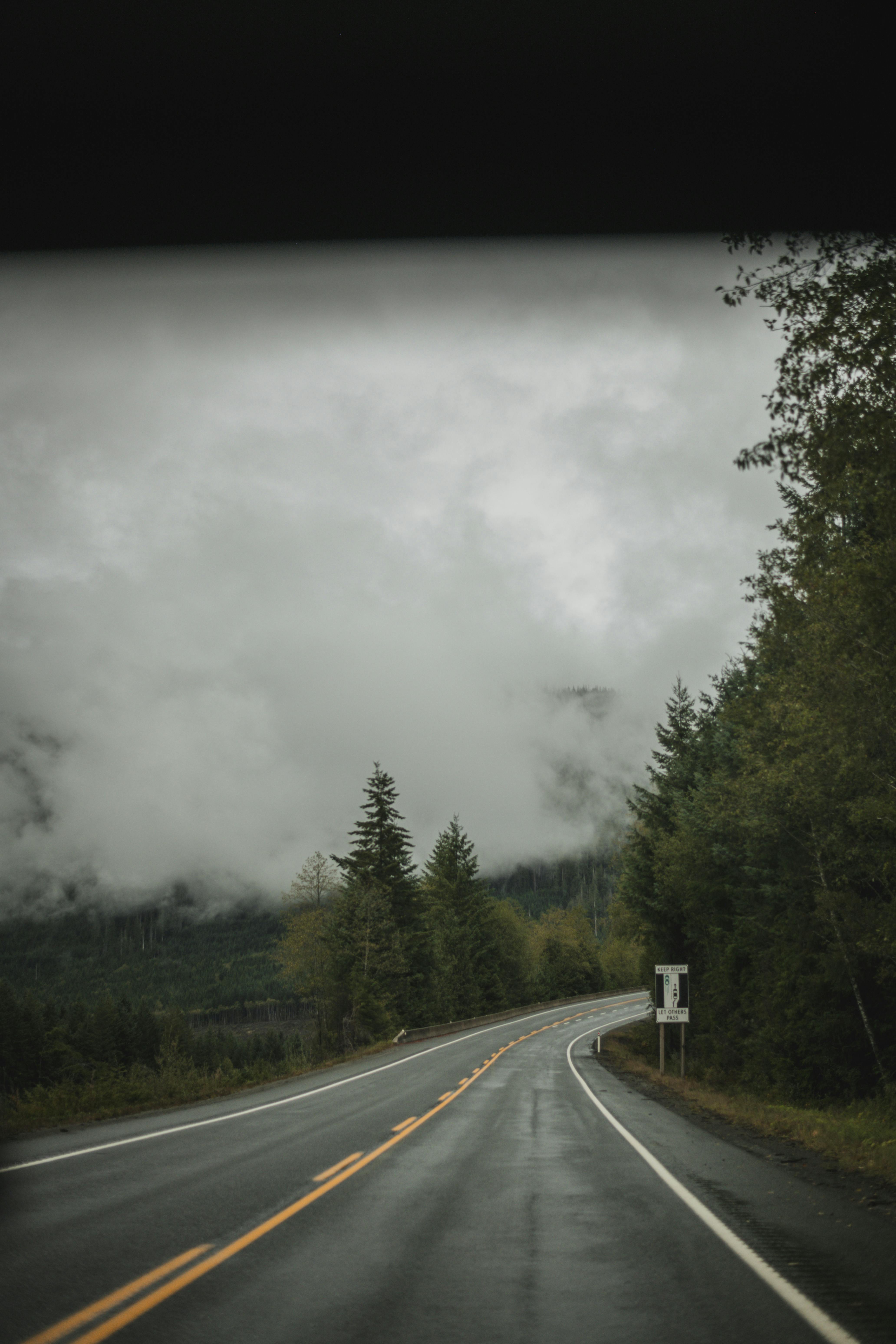 Road Forest Photos, Download The BEST Free Road Forest Stock Photos ...