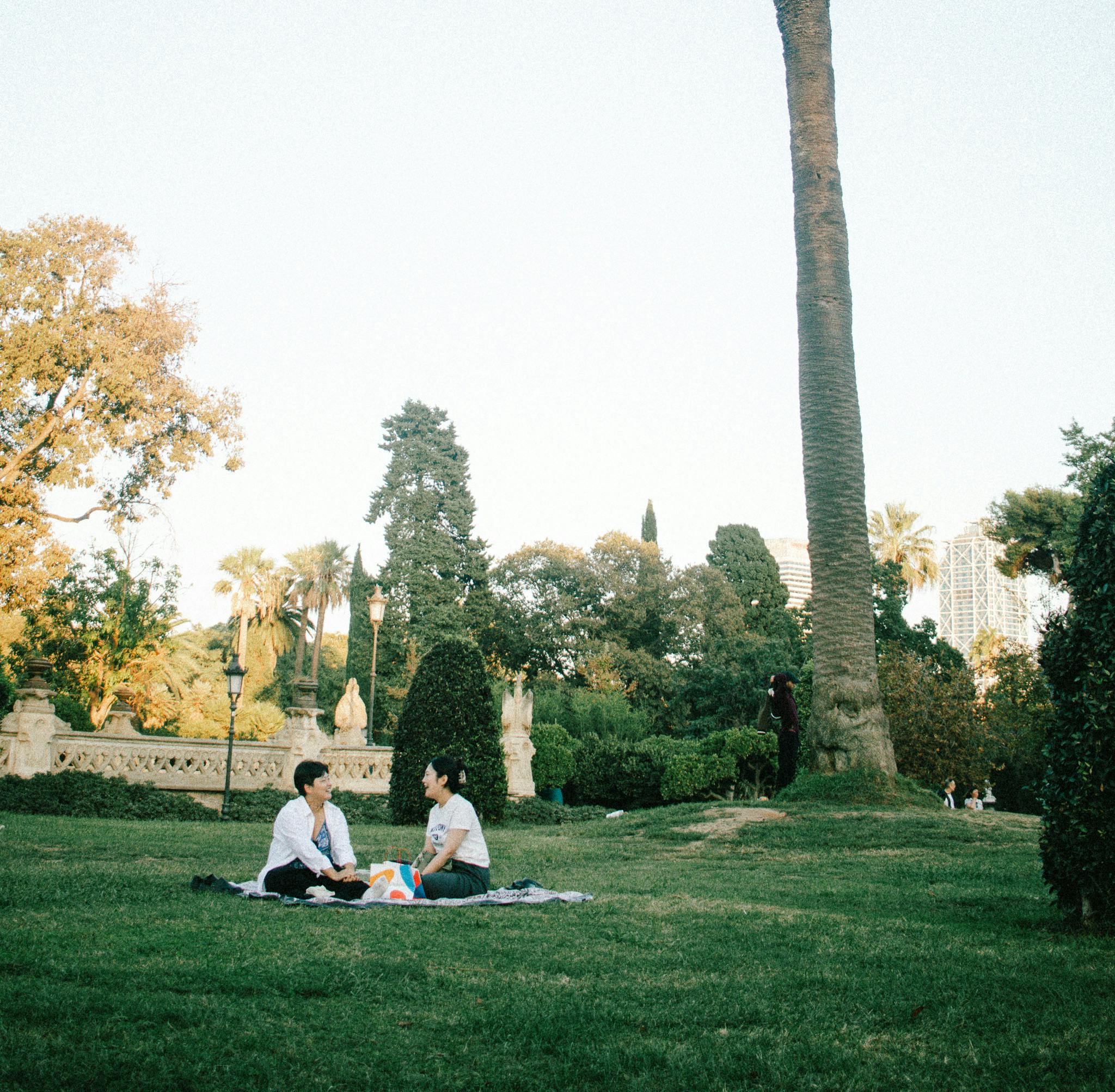 Women Having Picnic in Park · Free Stock Photo