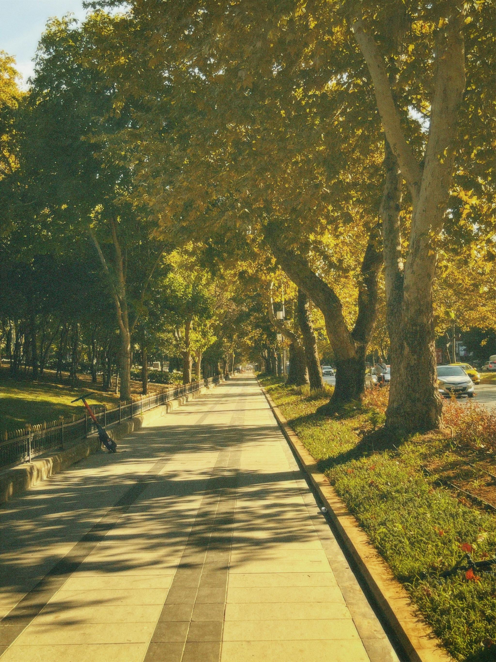 Pavement in Park · Free Stock Photo