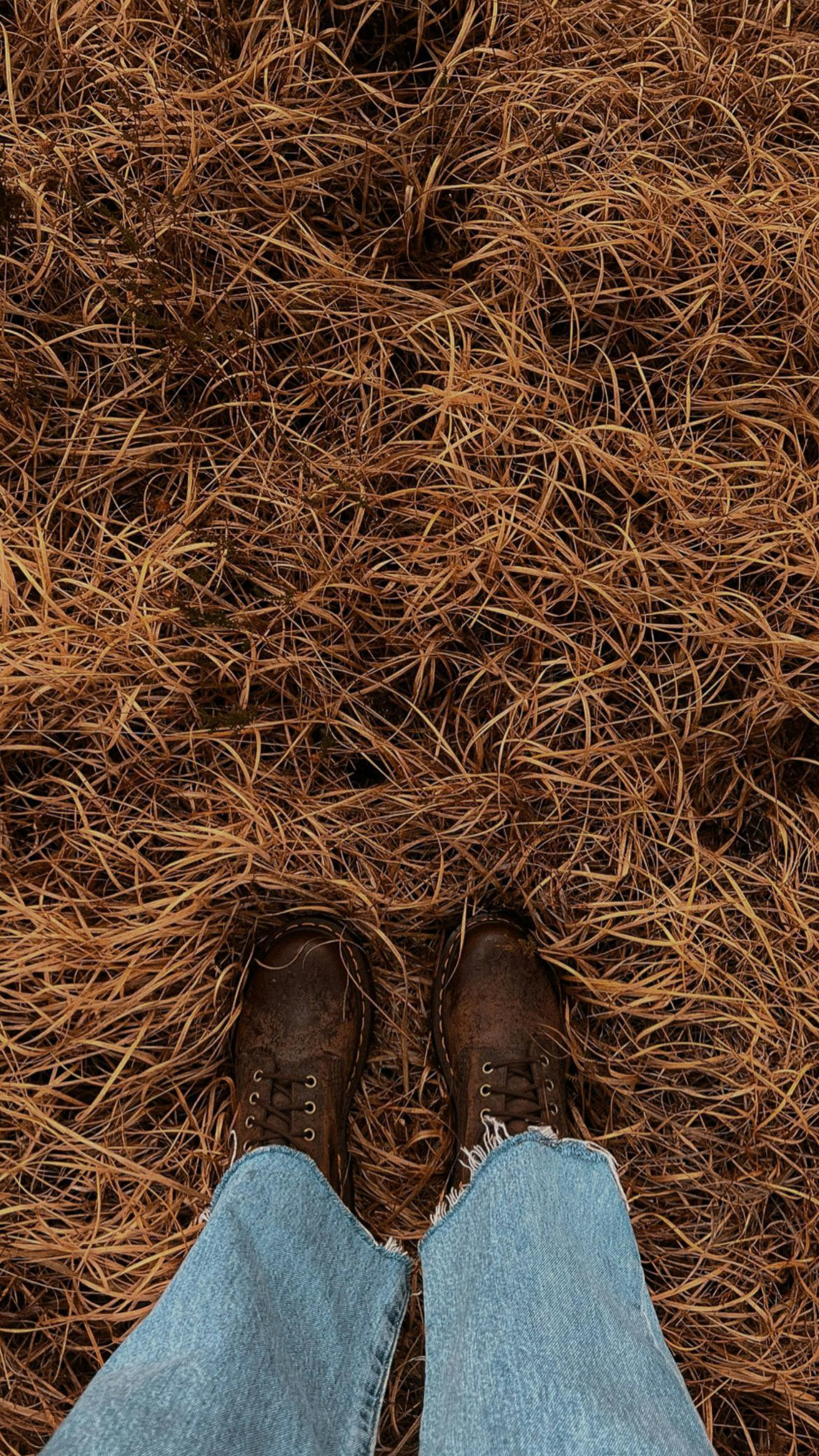 Instagram Texture Photos, Download The BEST Free Instagram Texture ...