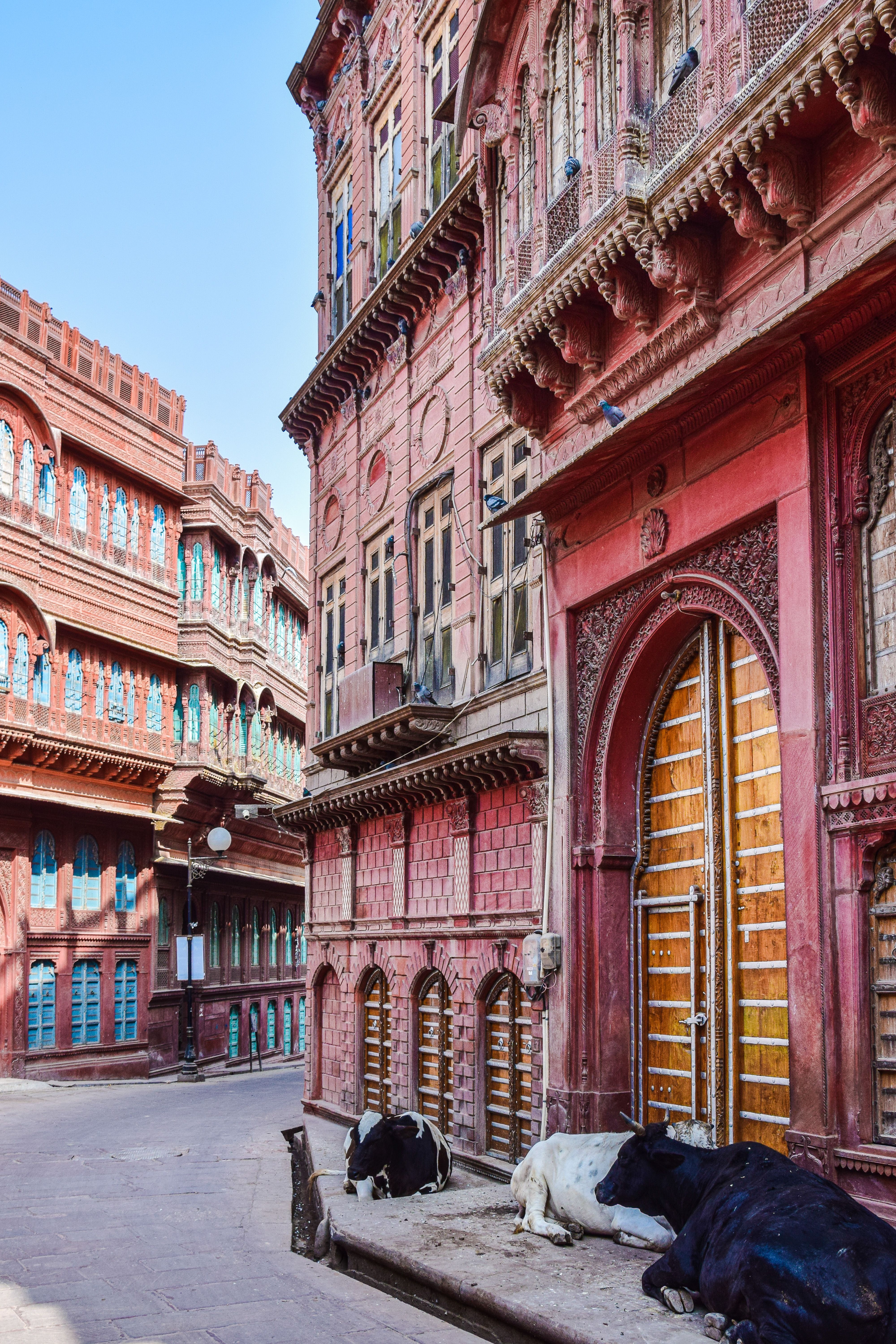 Indian Urban Scene Photos, Download The BEST Free Indian Urban Scene ...