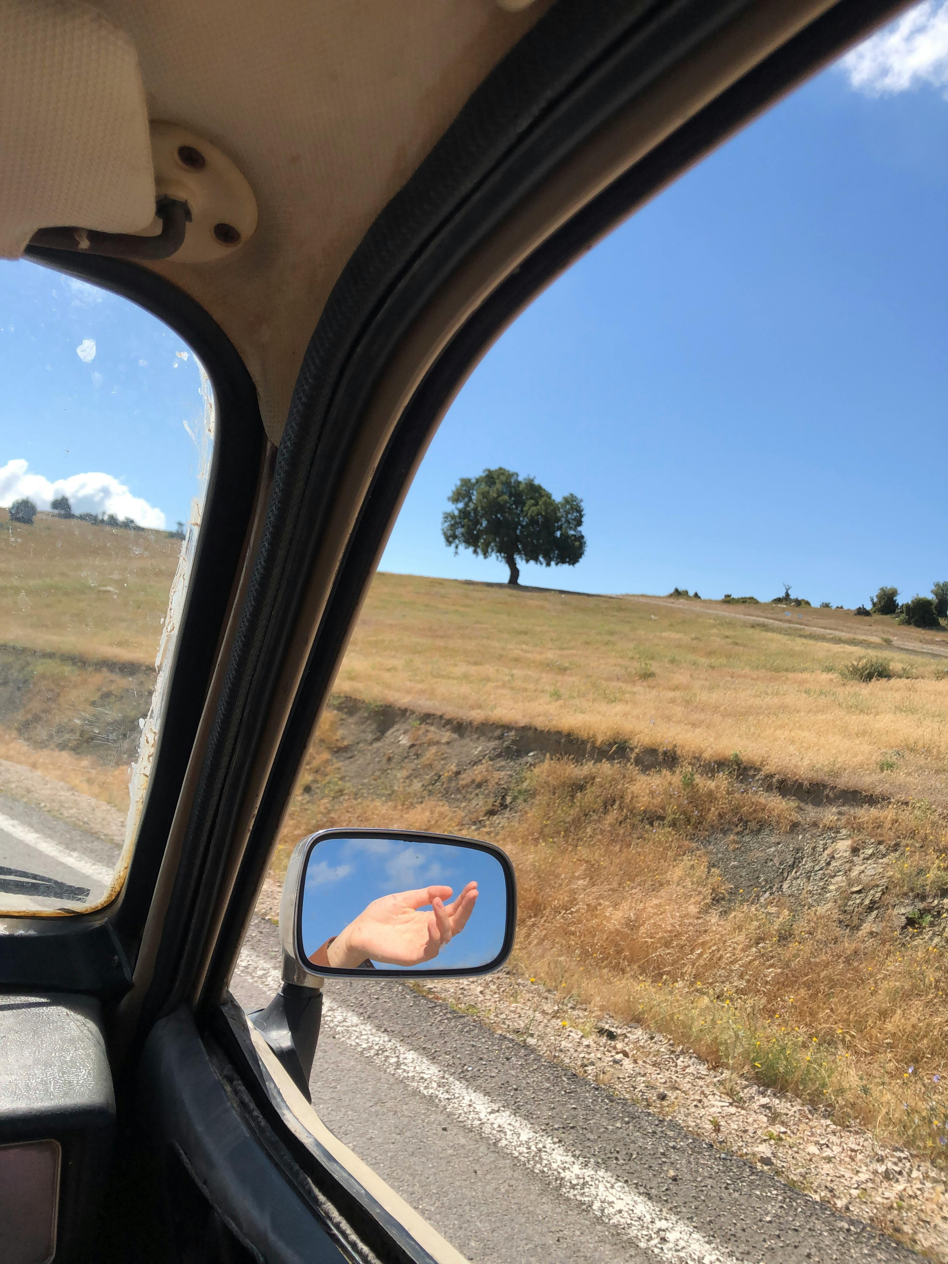 Nida Kurt - Photography