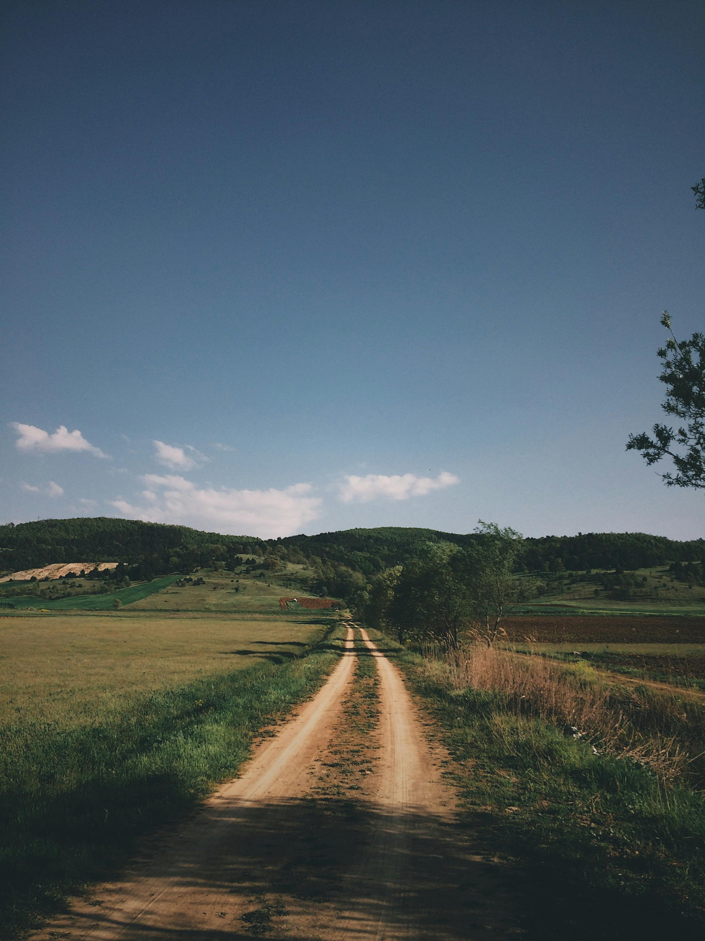 Path on a Field · Free Stock Photo