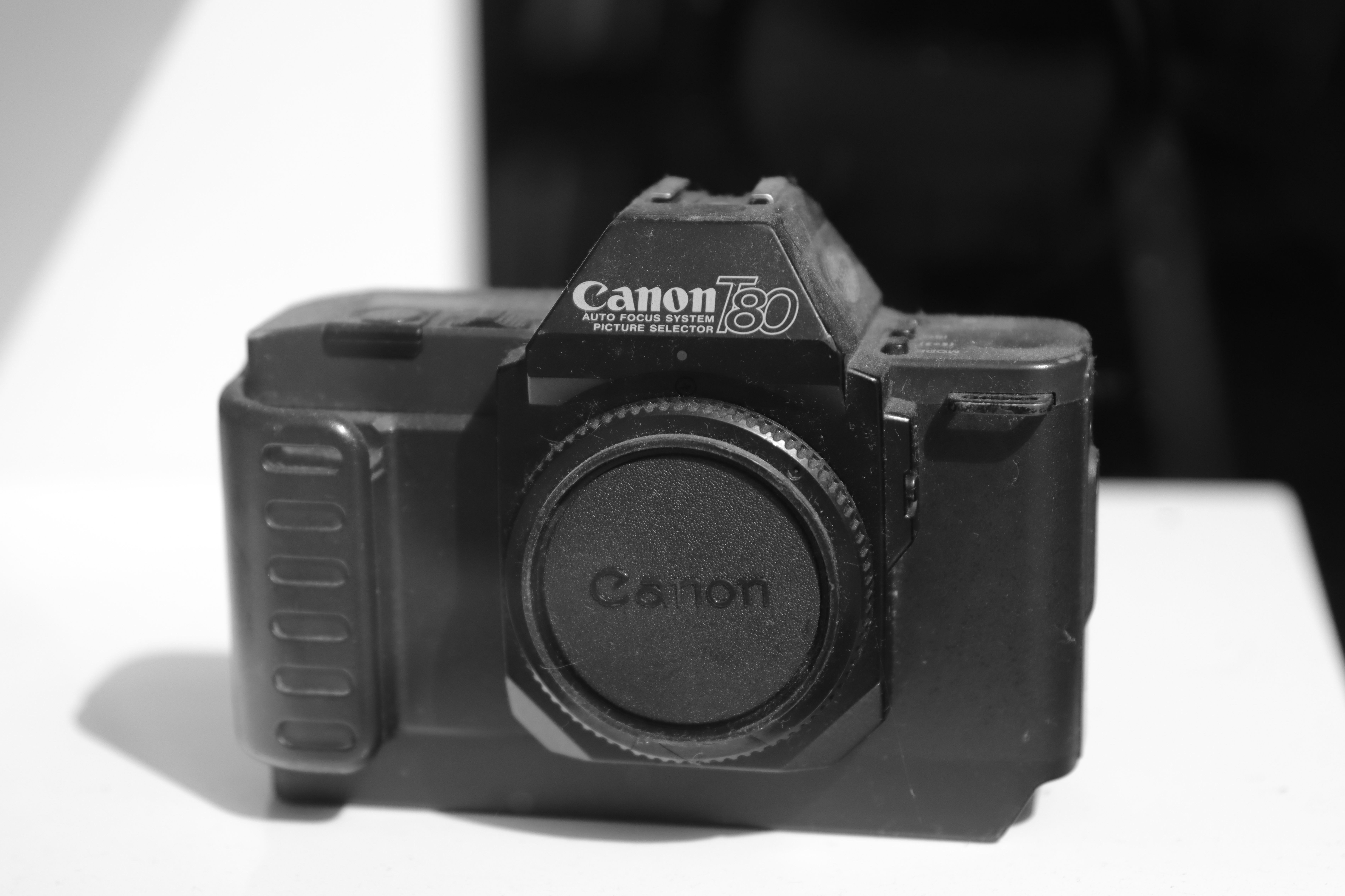 Canon · Free Stock Photo