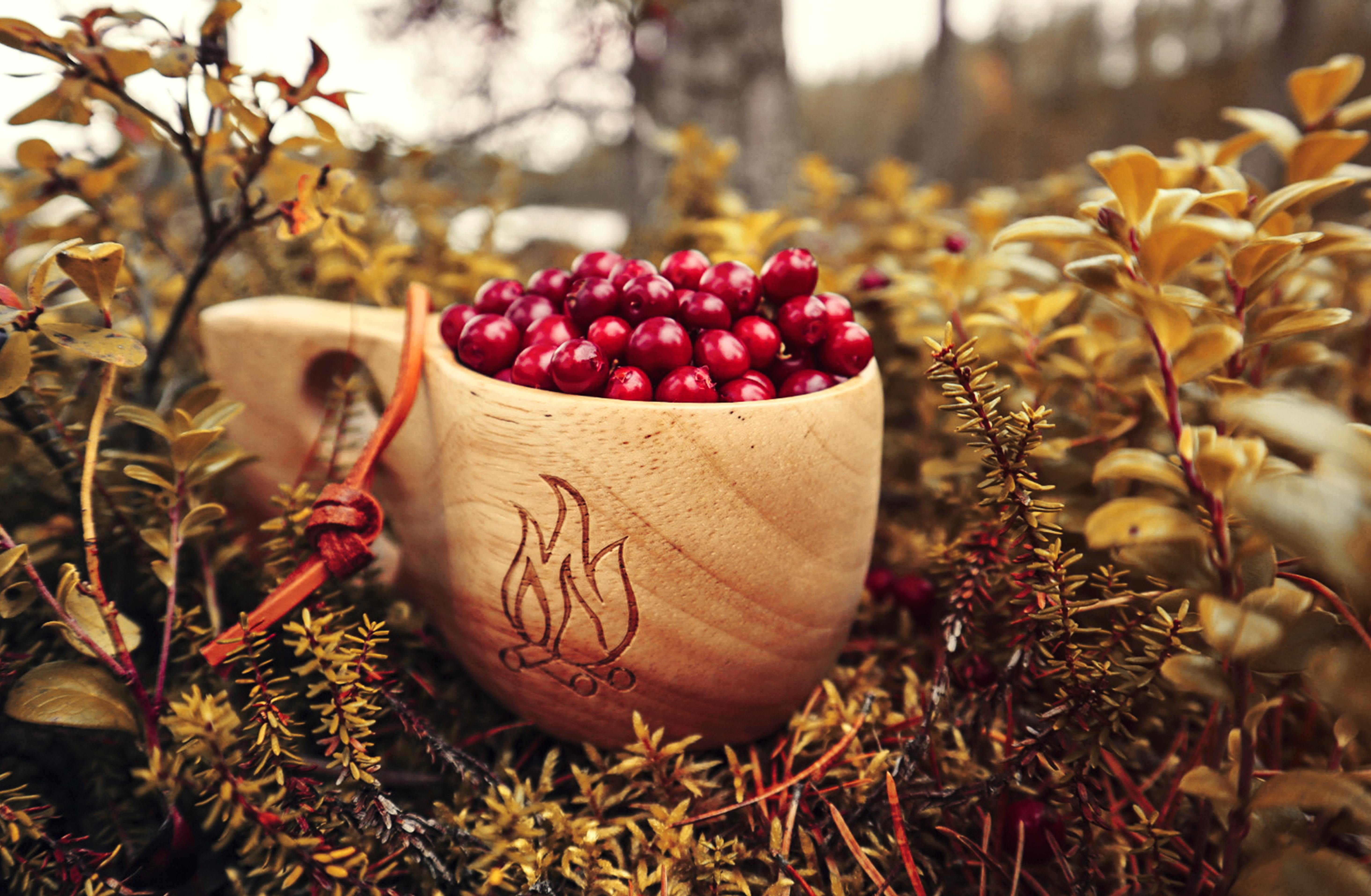 Wooden guksi cup · Free Stock Photo