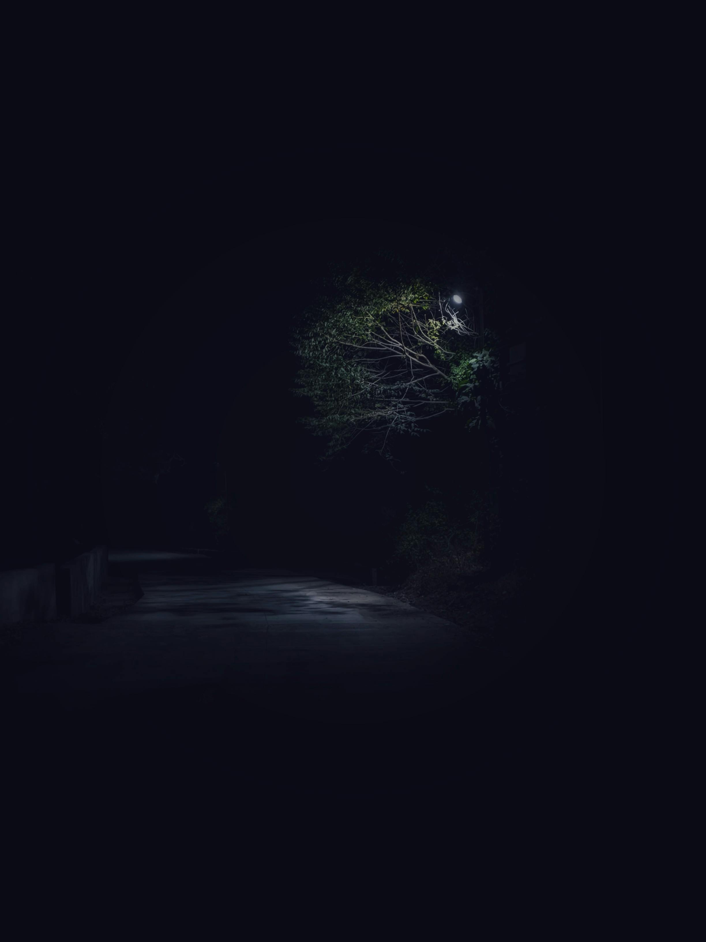 very good - Photography