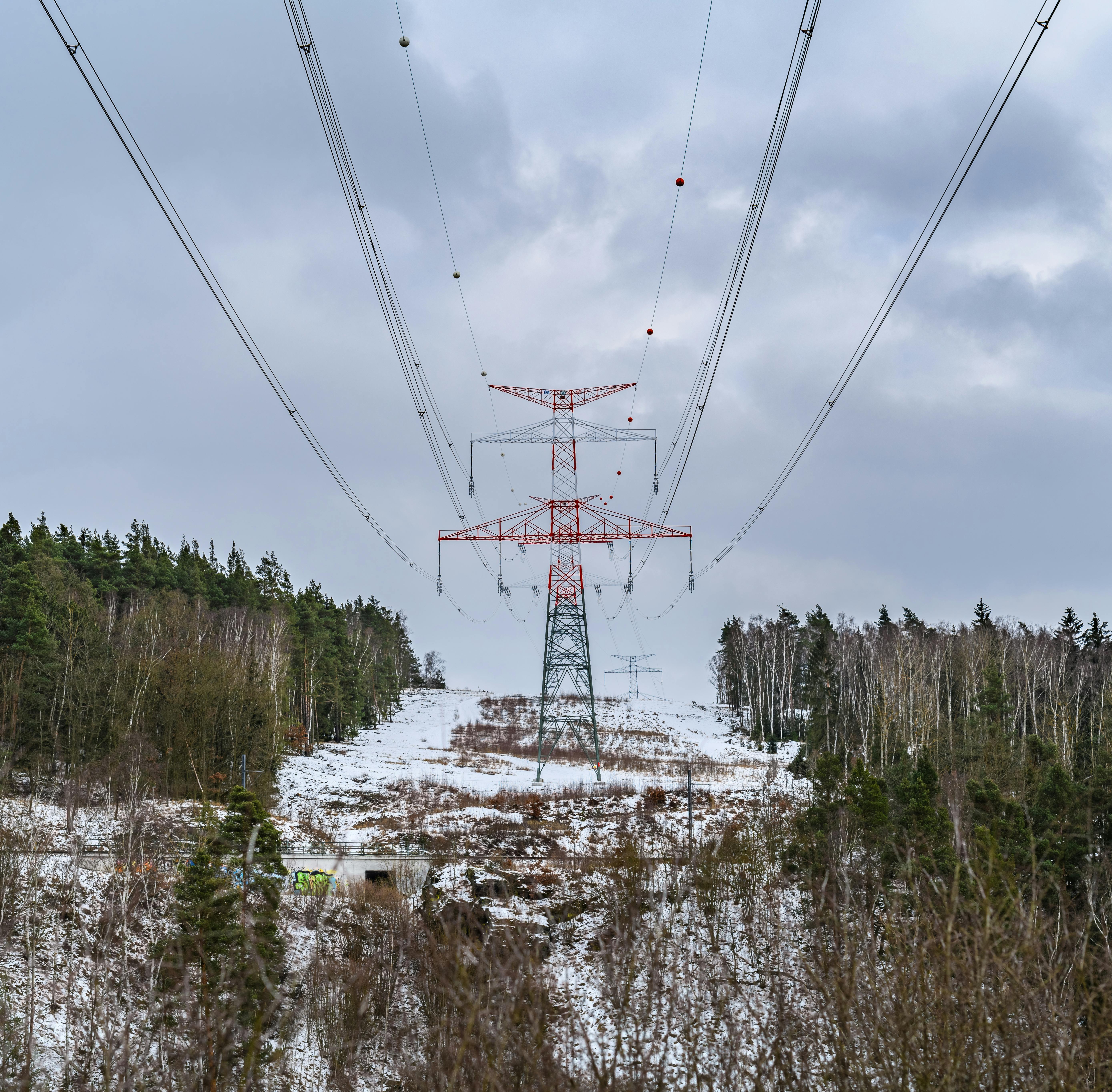 A power line in the snow with trees and snow · Free Stock Photo