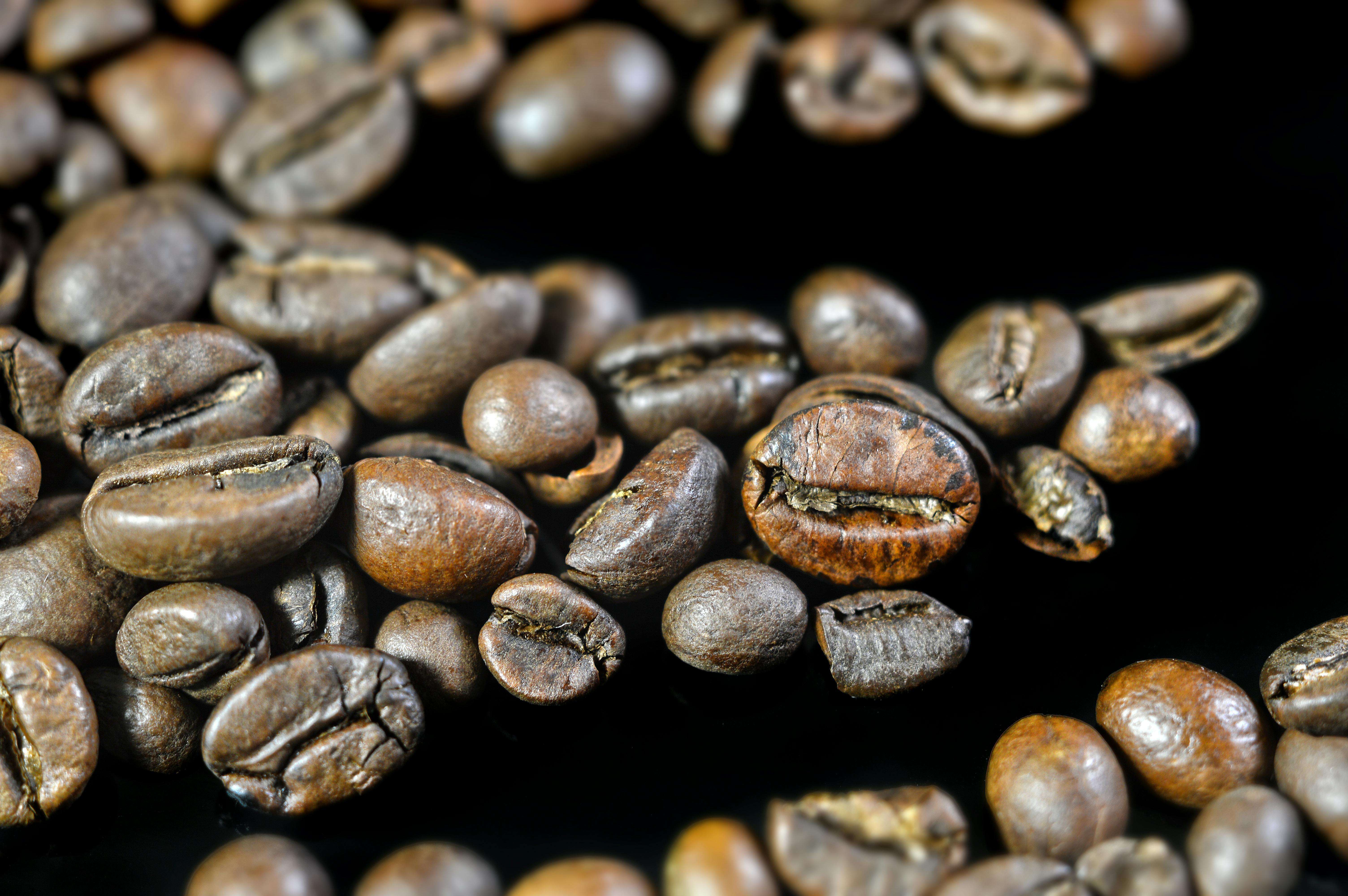 Dry Coffee Beans · Free Stock Photo