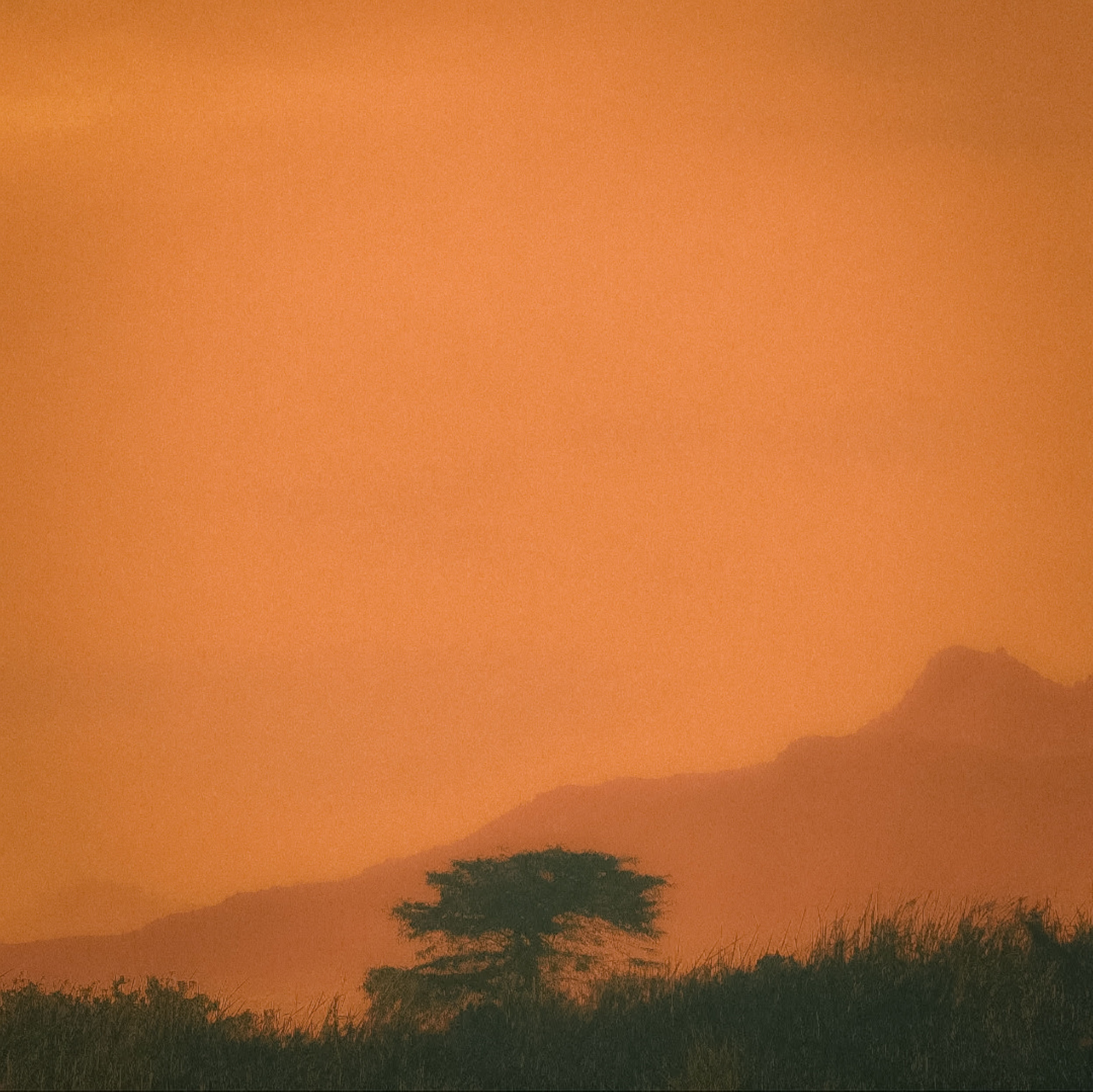 Grassy Area at an Orange Hazy Dusk · Free Stock Photo