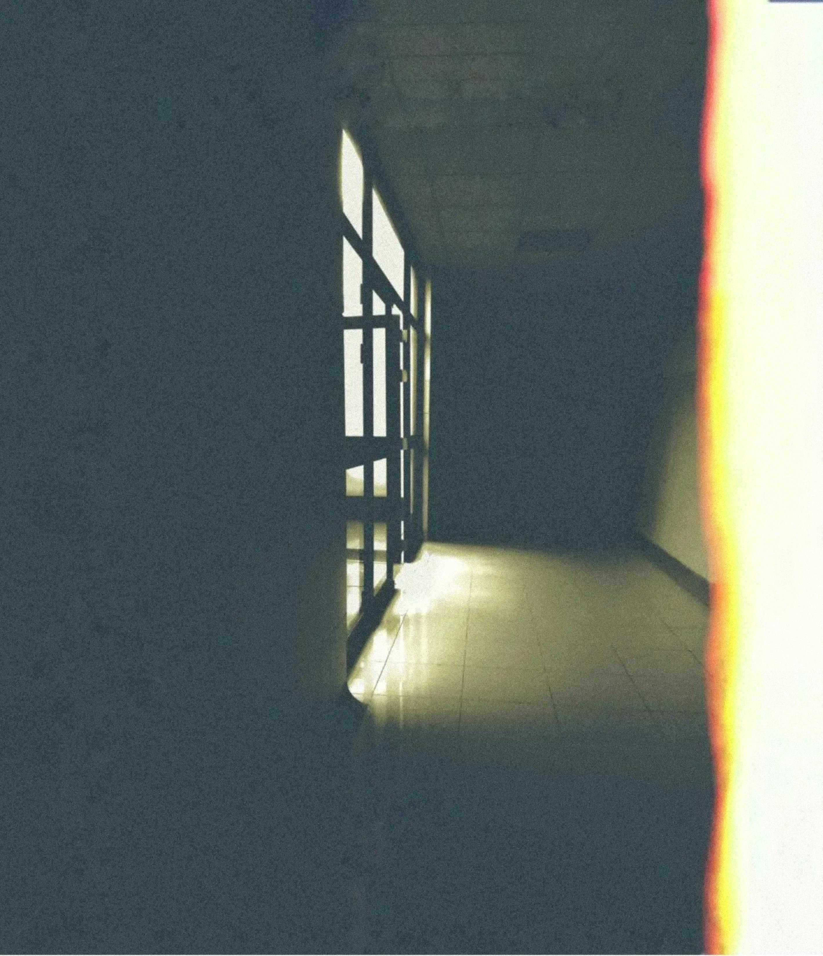 Analog Photography Photos, Download The BEST Free Analog Photography ...