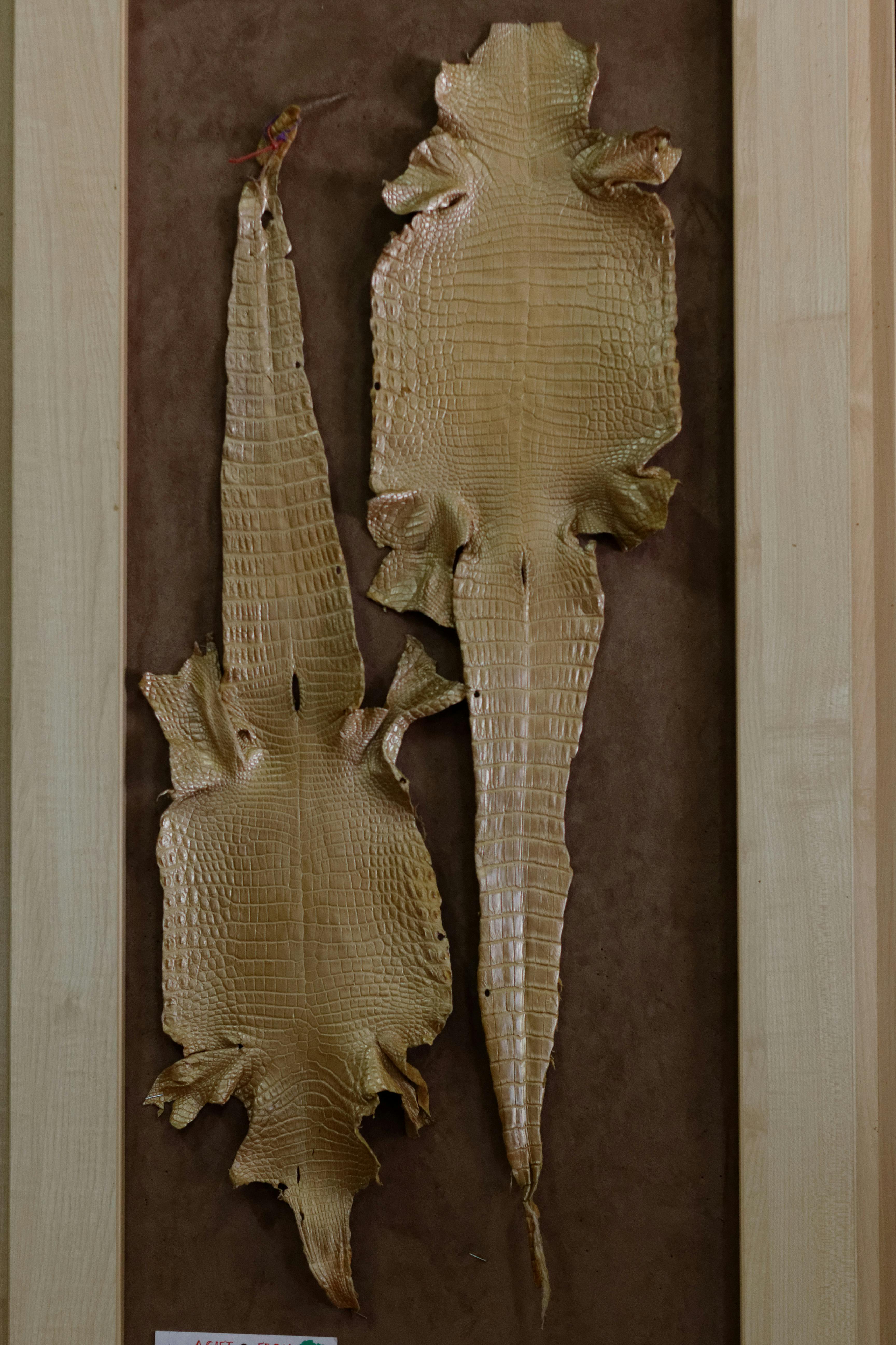 Annari du Plessis - Photography