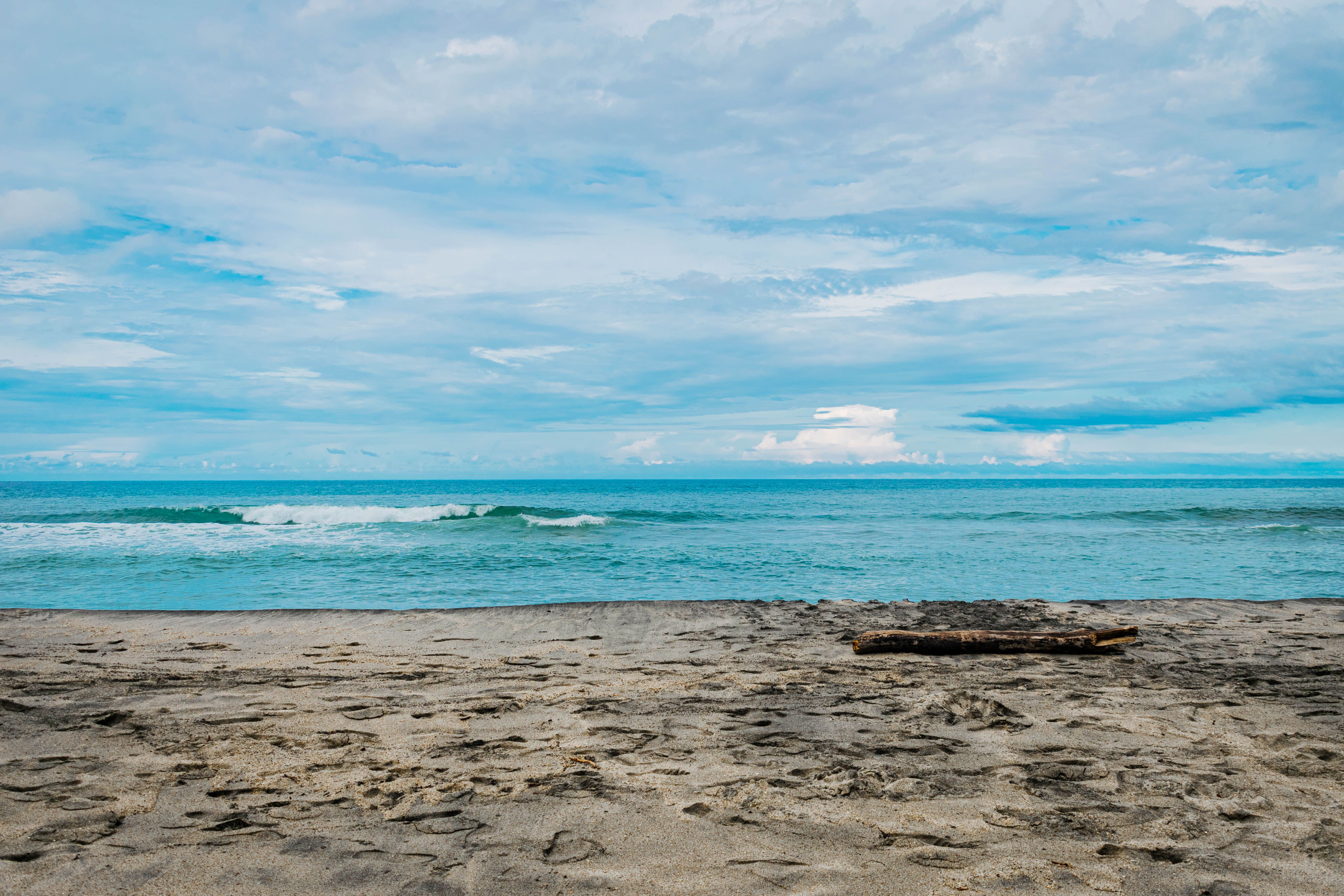 Beach on Sea Shore · Free Stock Photo