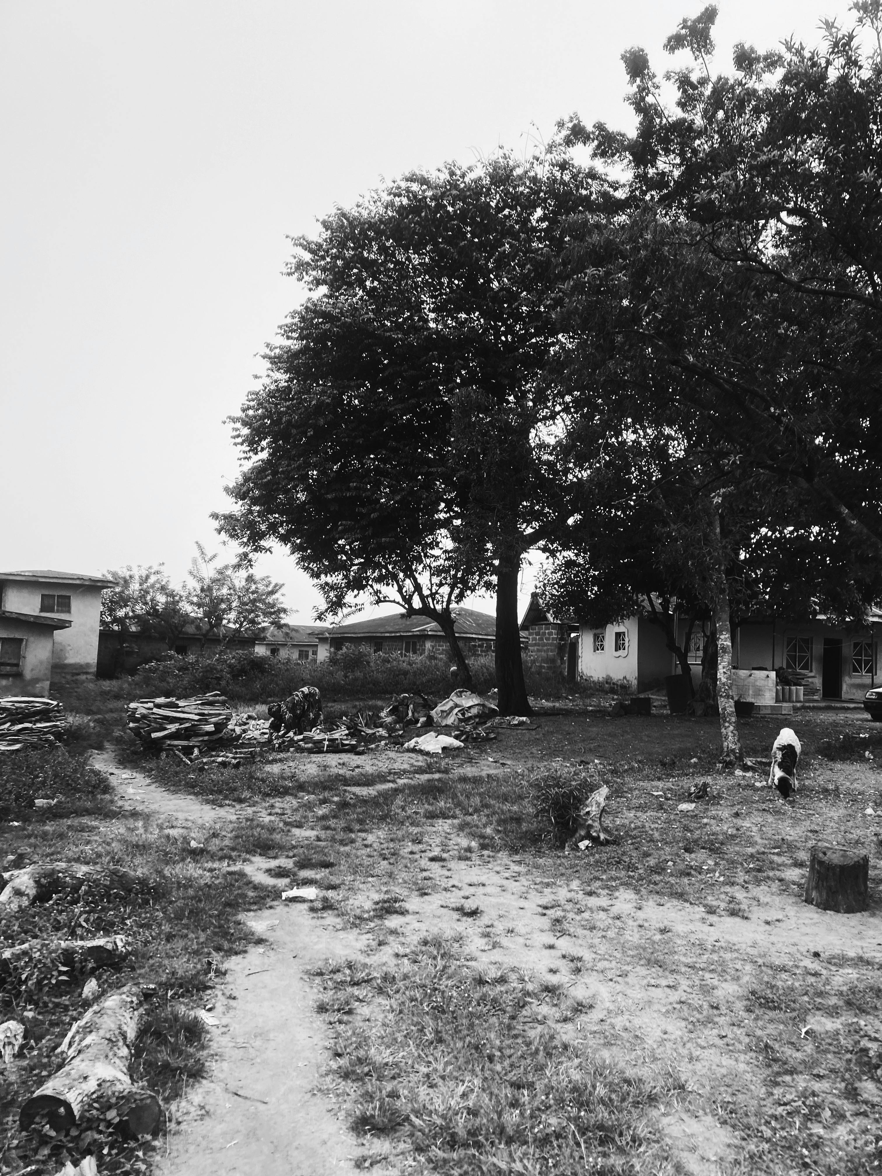 Black and White Rural Landscape · Free Stock Photo