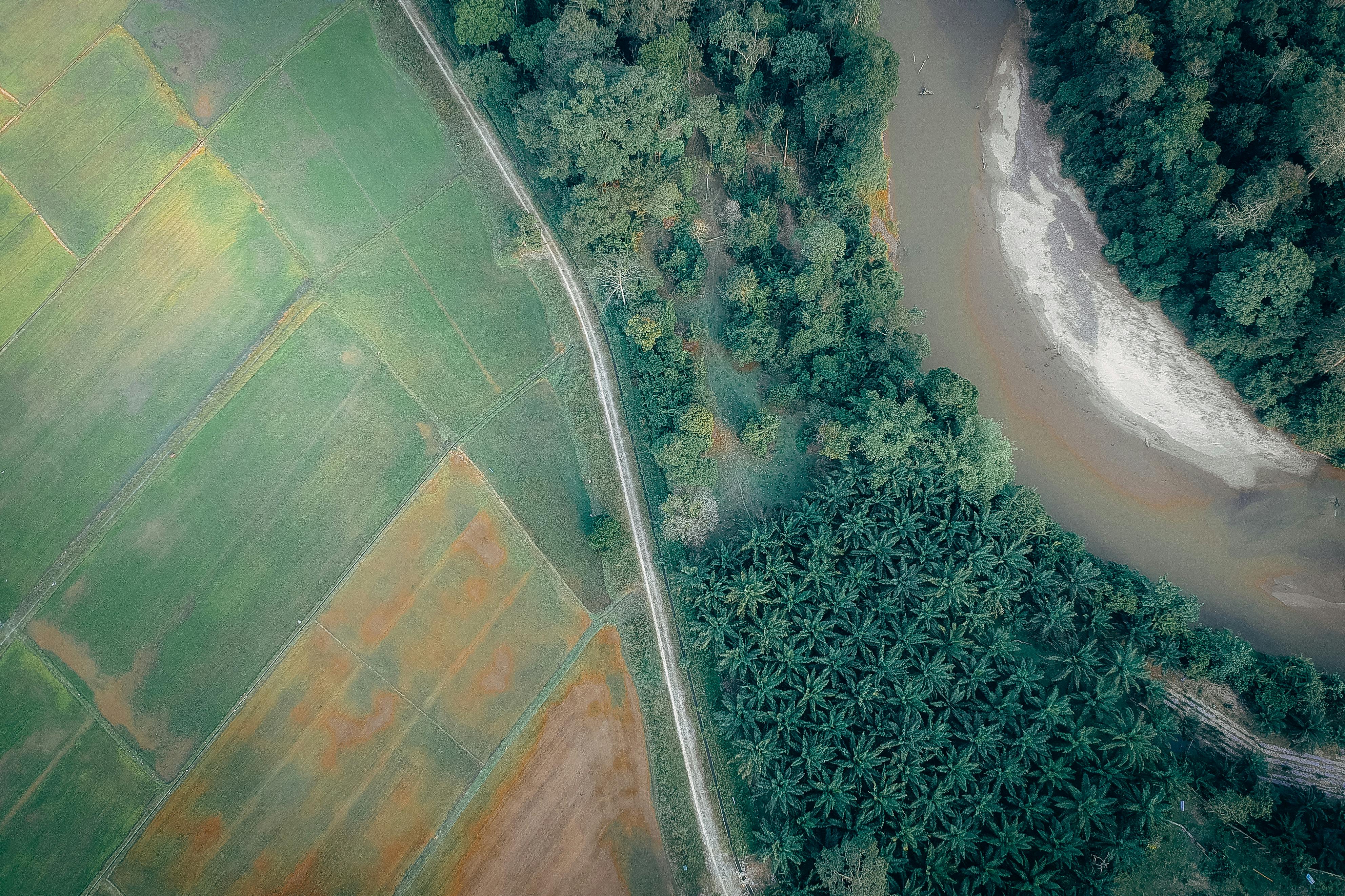 Aerial View Photography of Trees · Free Stock Photo
