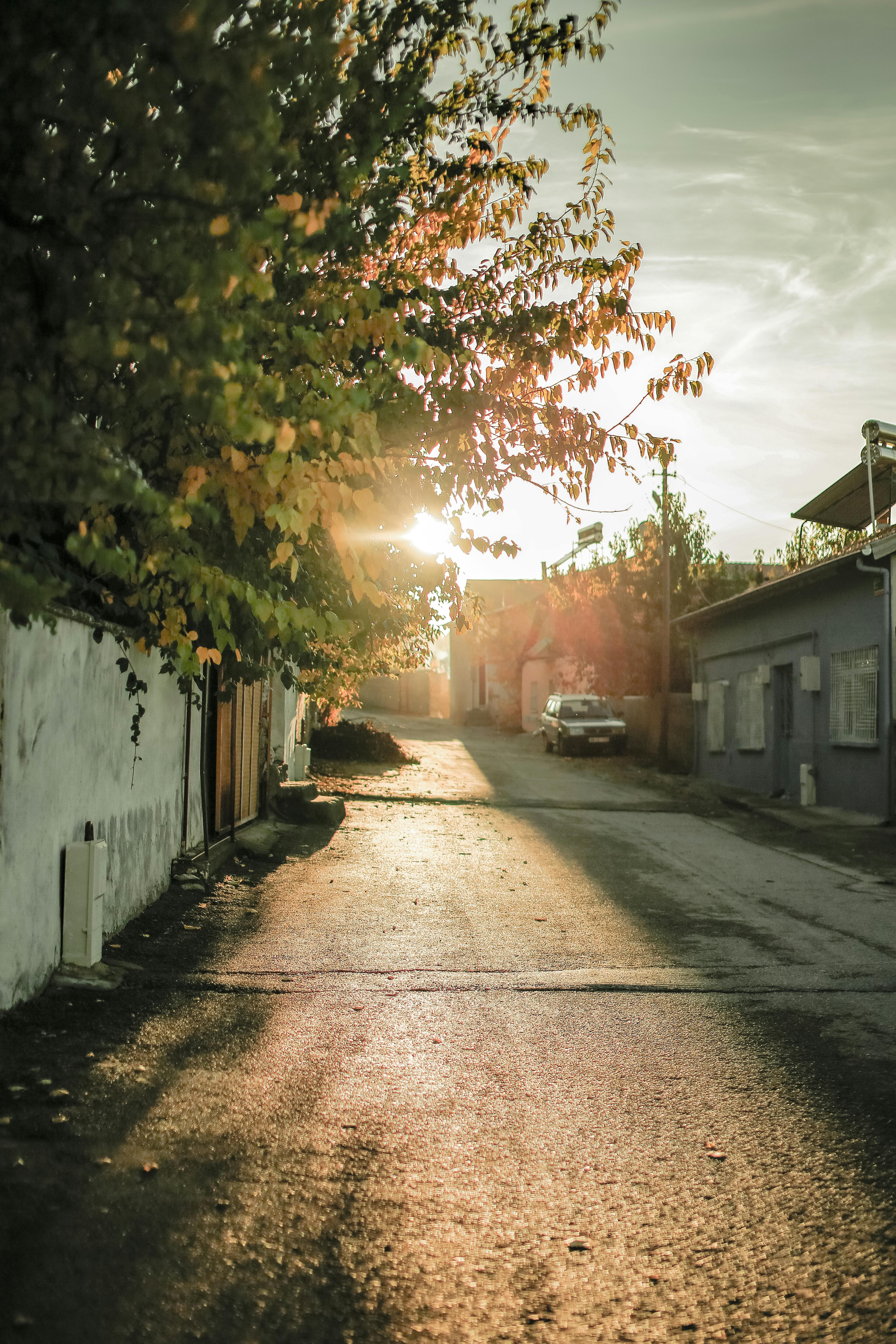 Town Street in Morning Sunlight · Free Stock Photo