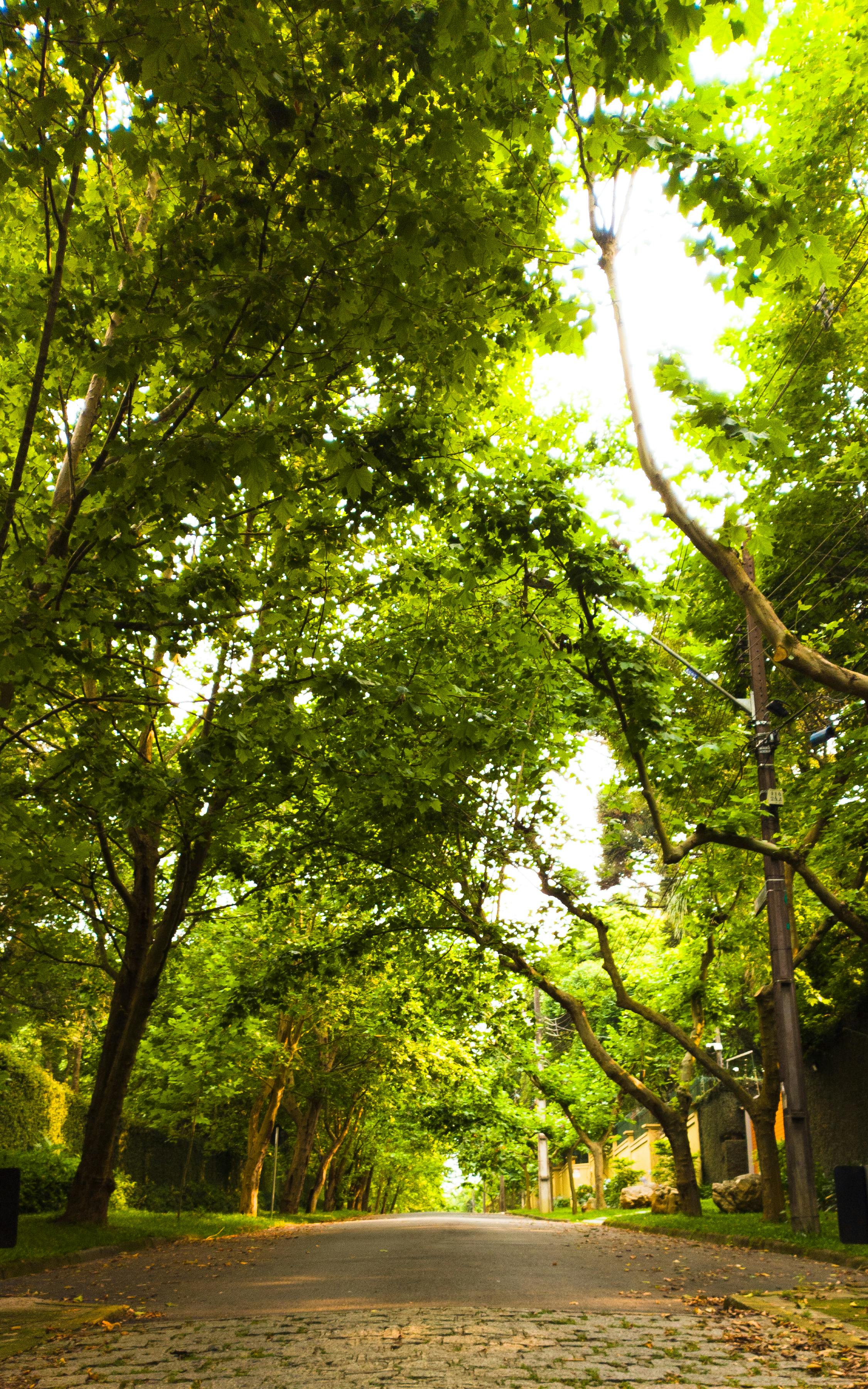 Perspectives Photos, Download The BEST Free Perspectives Stock Photos ...