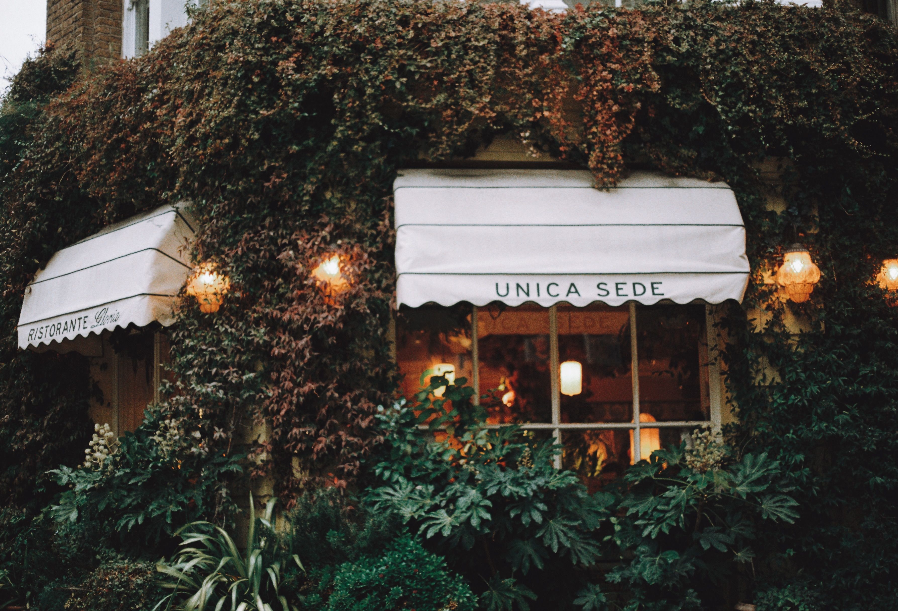 Restaurant Building Covered in Foliage · Free Stock Photo