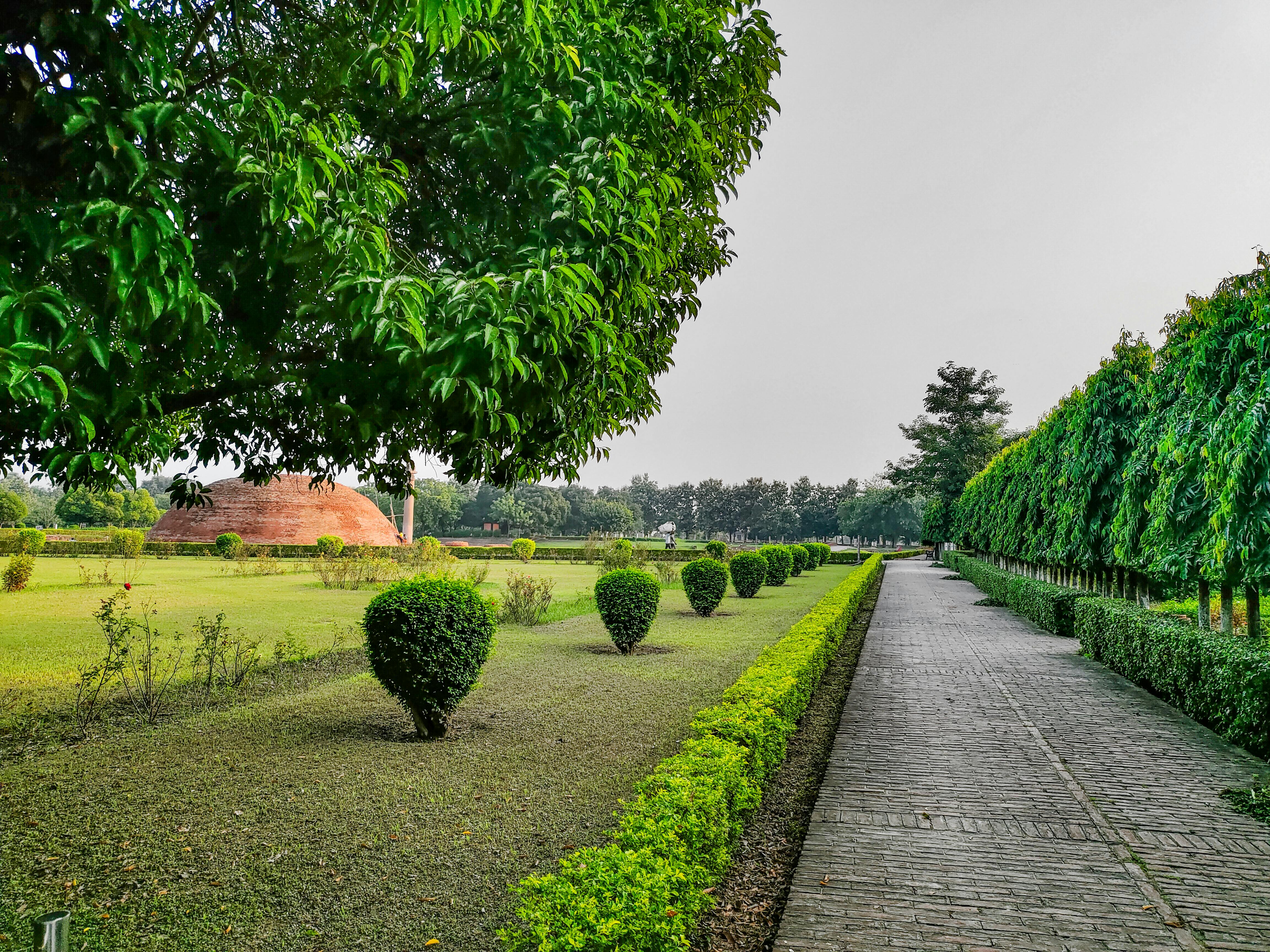 Perfect Pathway Photos, Download The BEST Free Perfect Pathway Stock ...