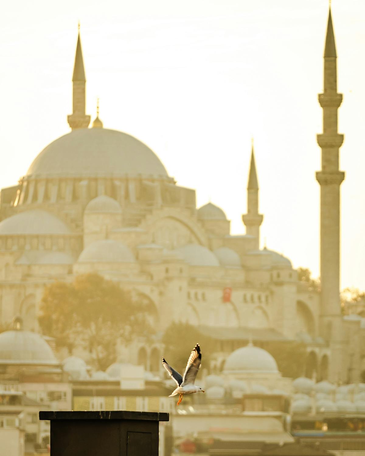 Istanbul Turkey Photos, Download The BEST Free Istanbul Turkey Stock ...