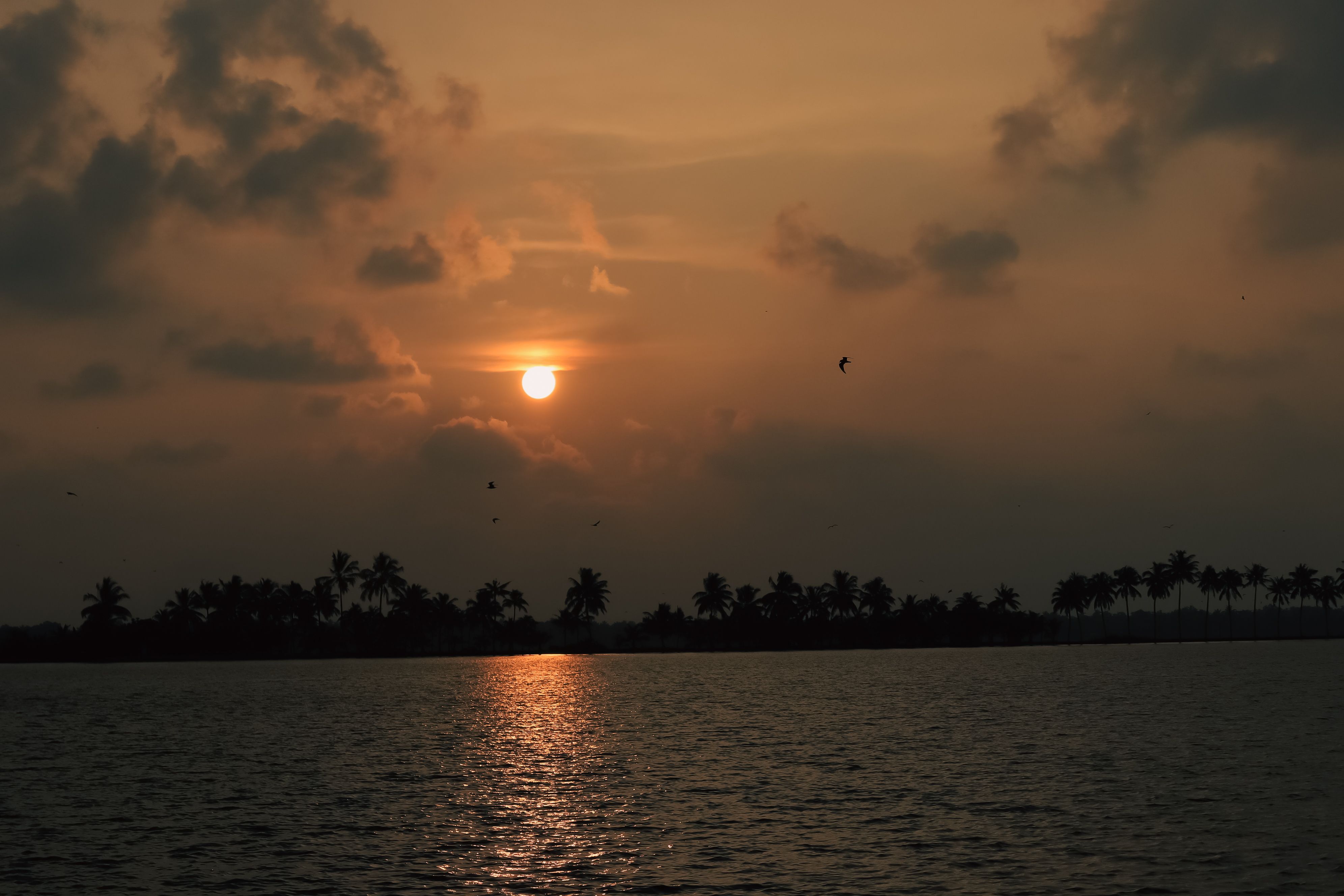 Aestehtic Calm Photos, Download The BEST Free Aestehtic Calm Stock ...