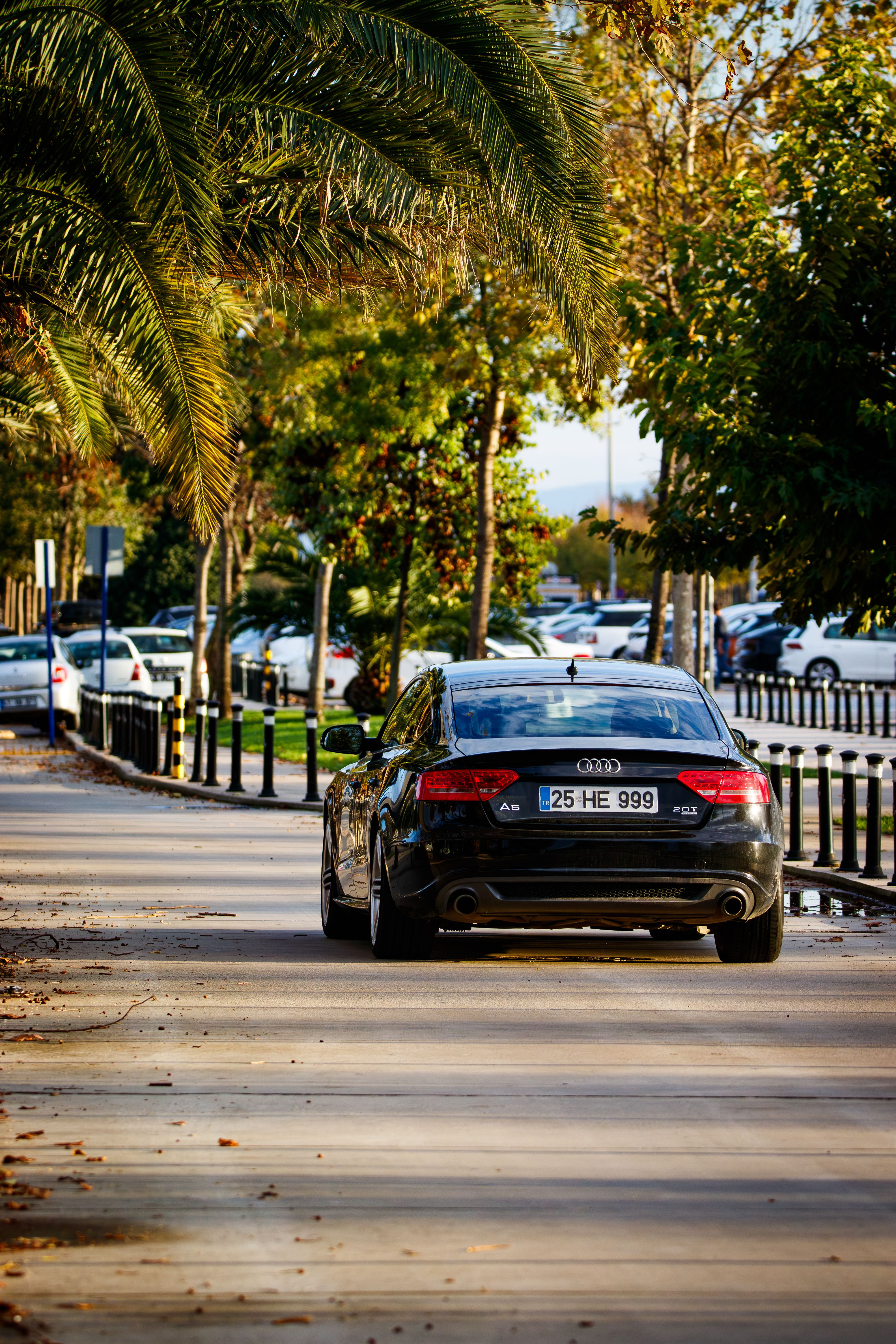 Audi A5 Backgrounds