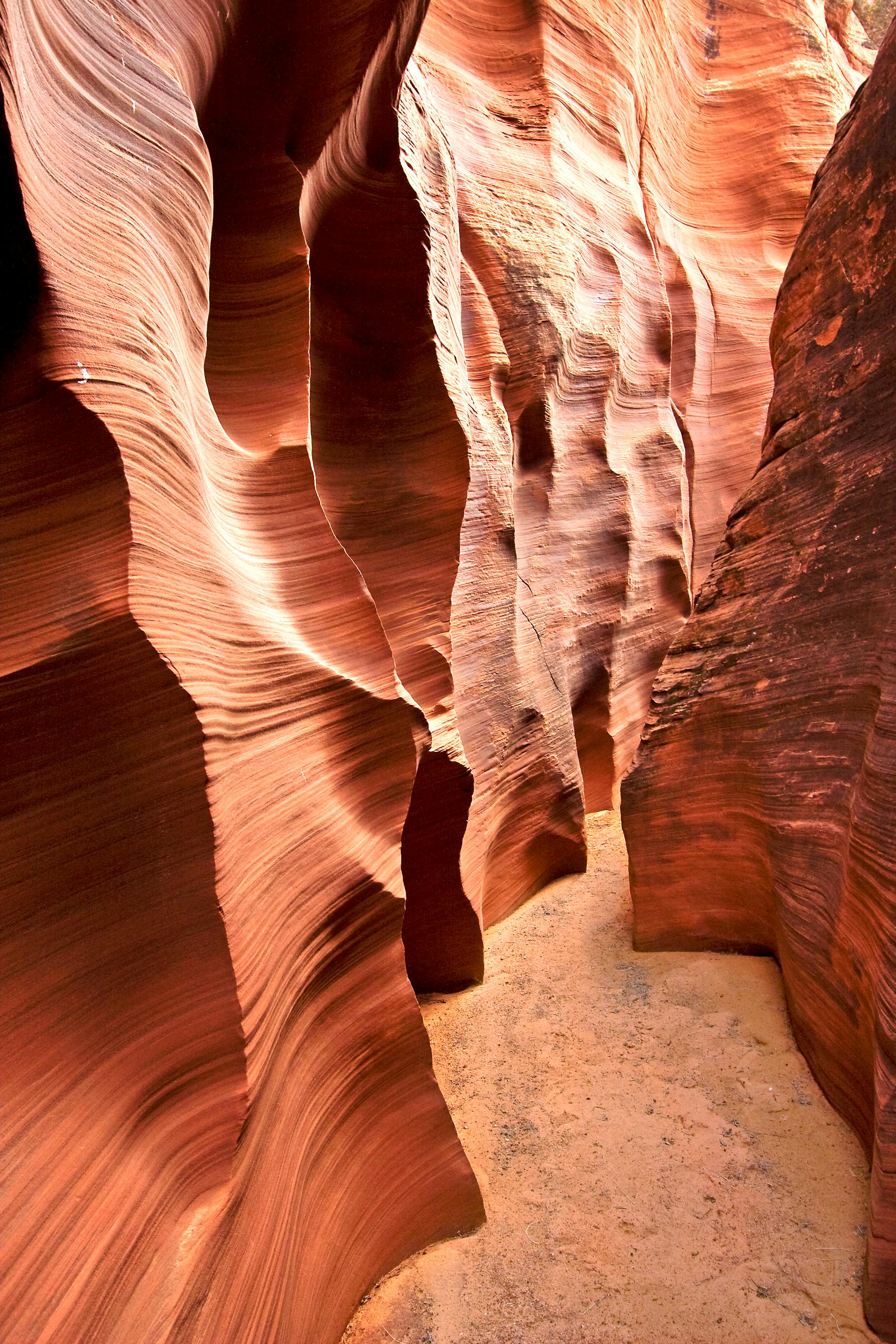 Dry canyon with narrow path in Antelope valley · Free Stock Photo