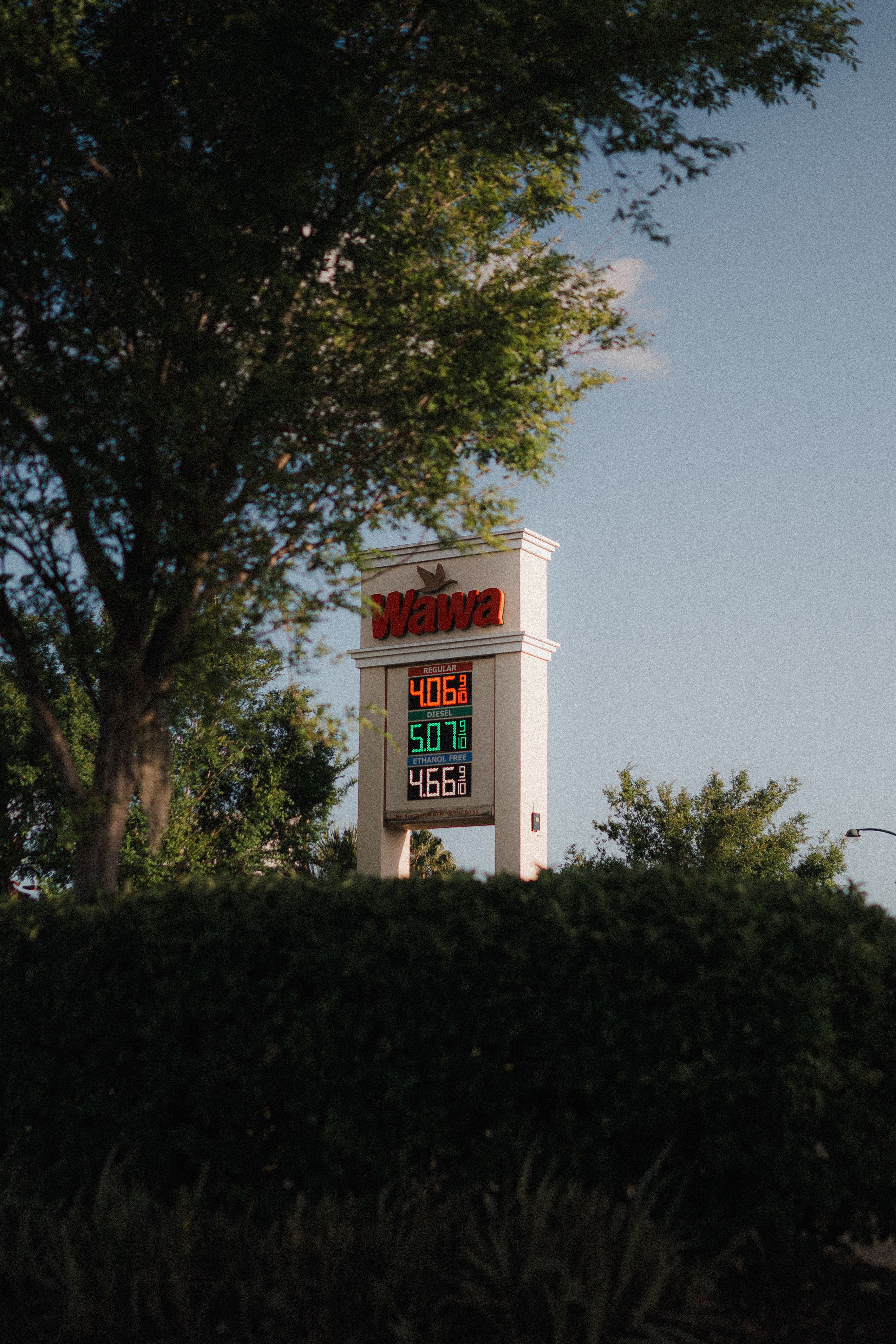 Wawa Gas Station Prices on Sign in USA · Free Stock Photo