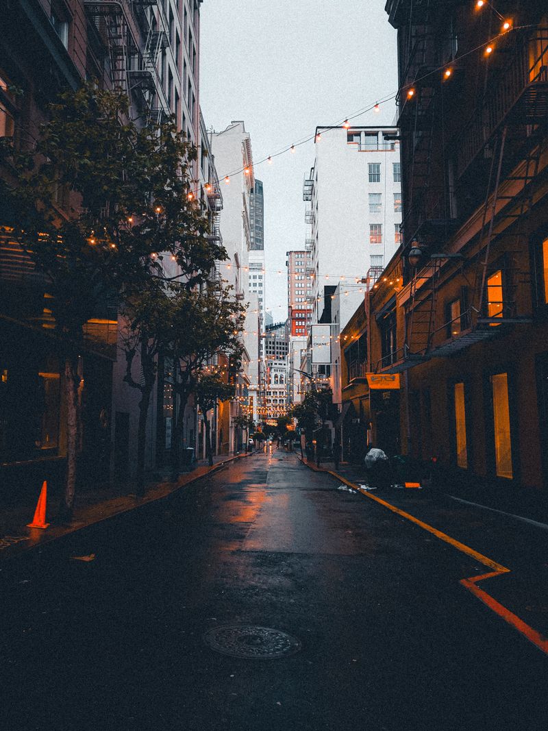 Shady Alley Photos, Download The BEST Free Shady Alley Stock Photos ...