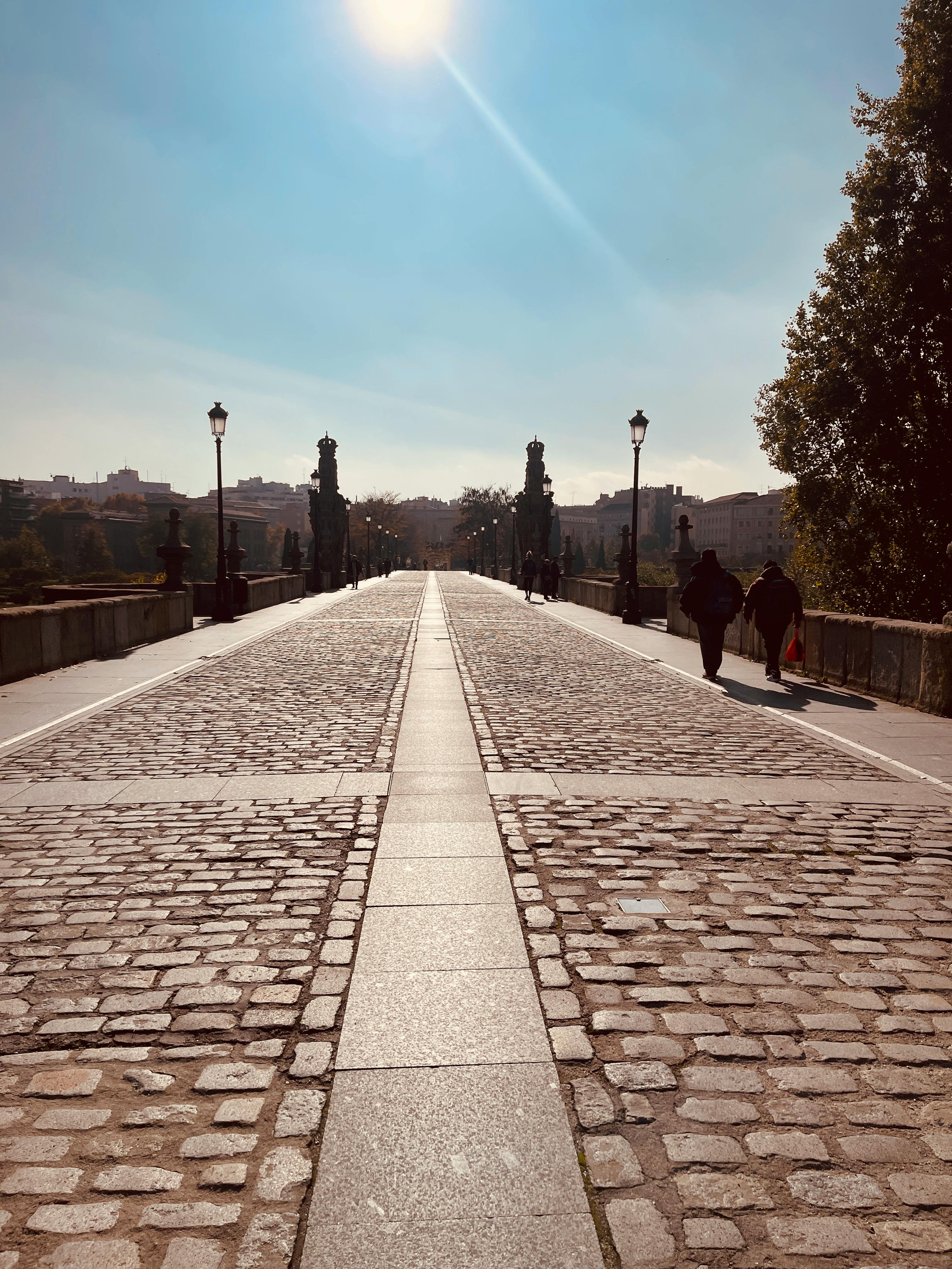 Luis Ribeiro - 사진