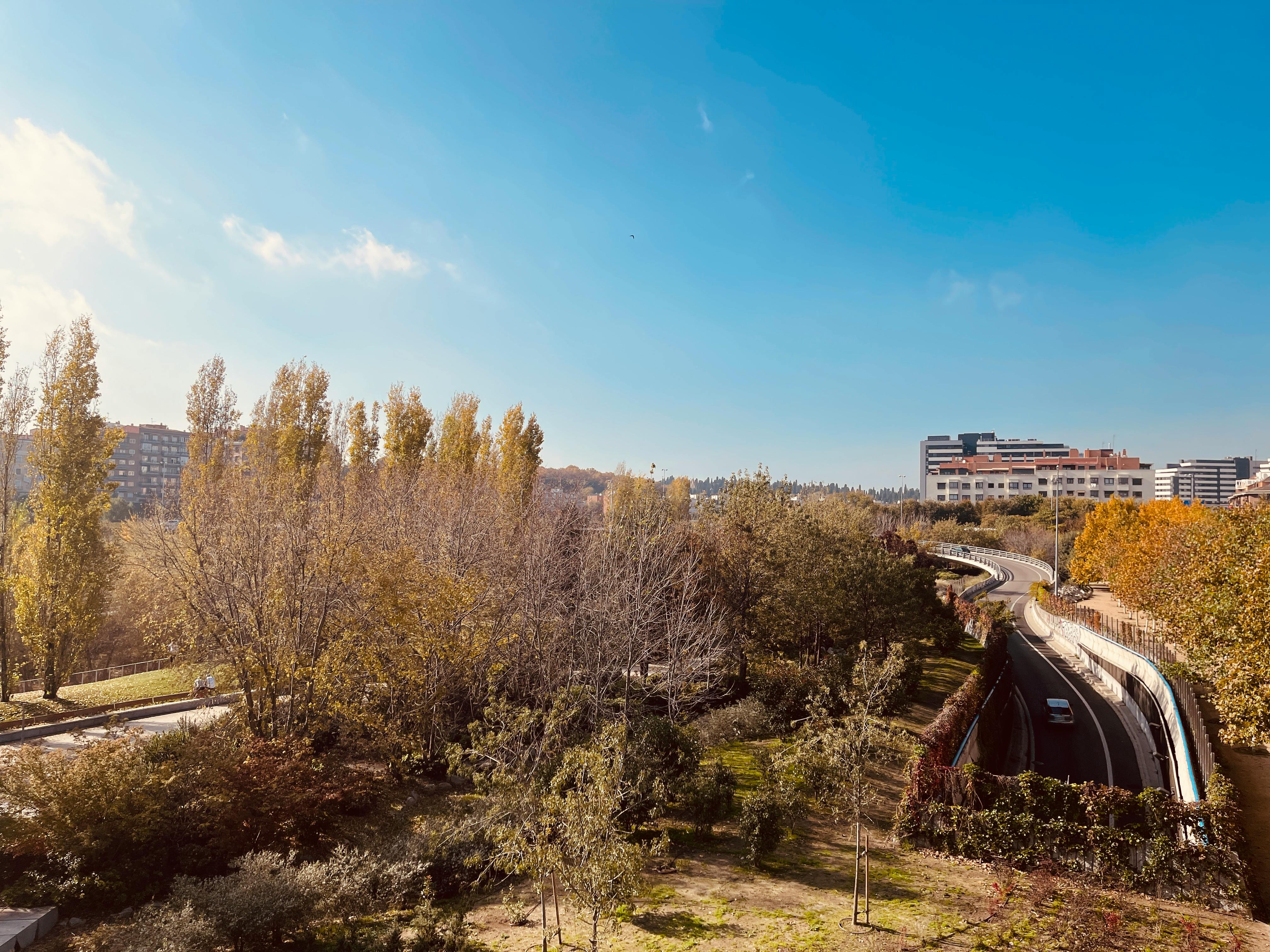 Luis Ribeiro - 사진