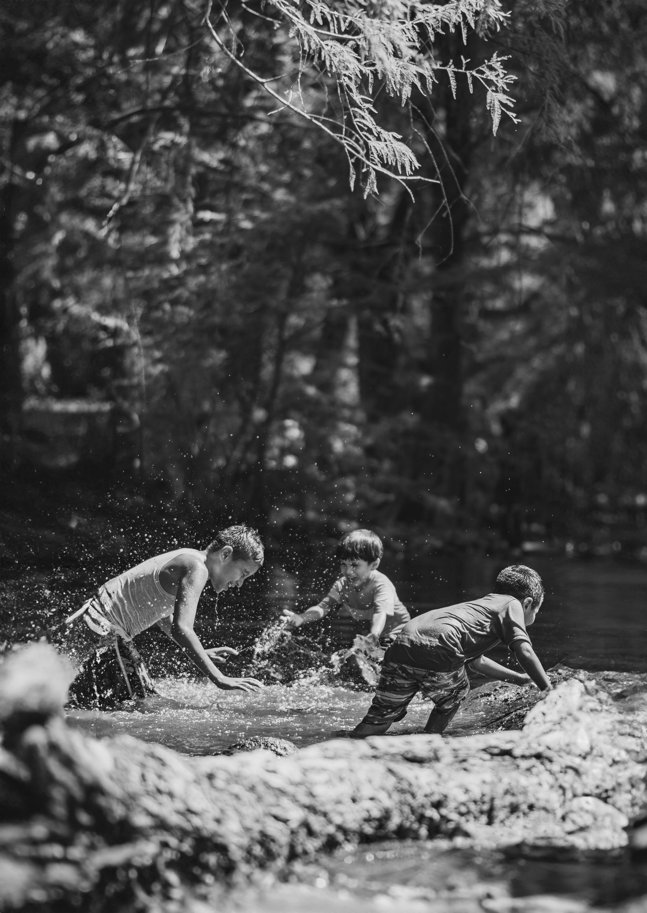 Boys Playing in the River Splashing Water · Free Stock Photo