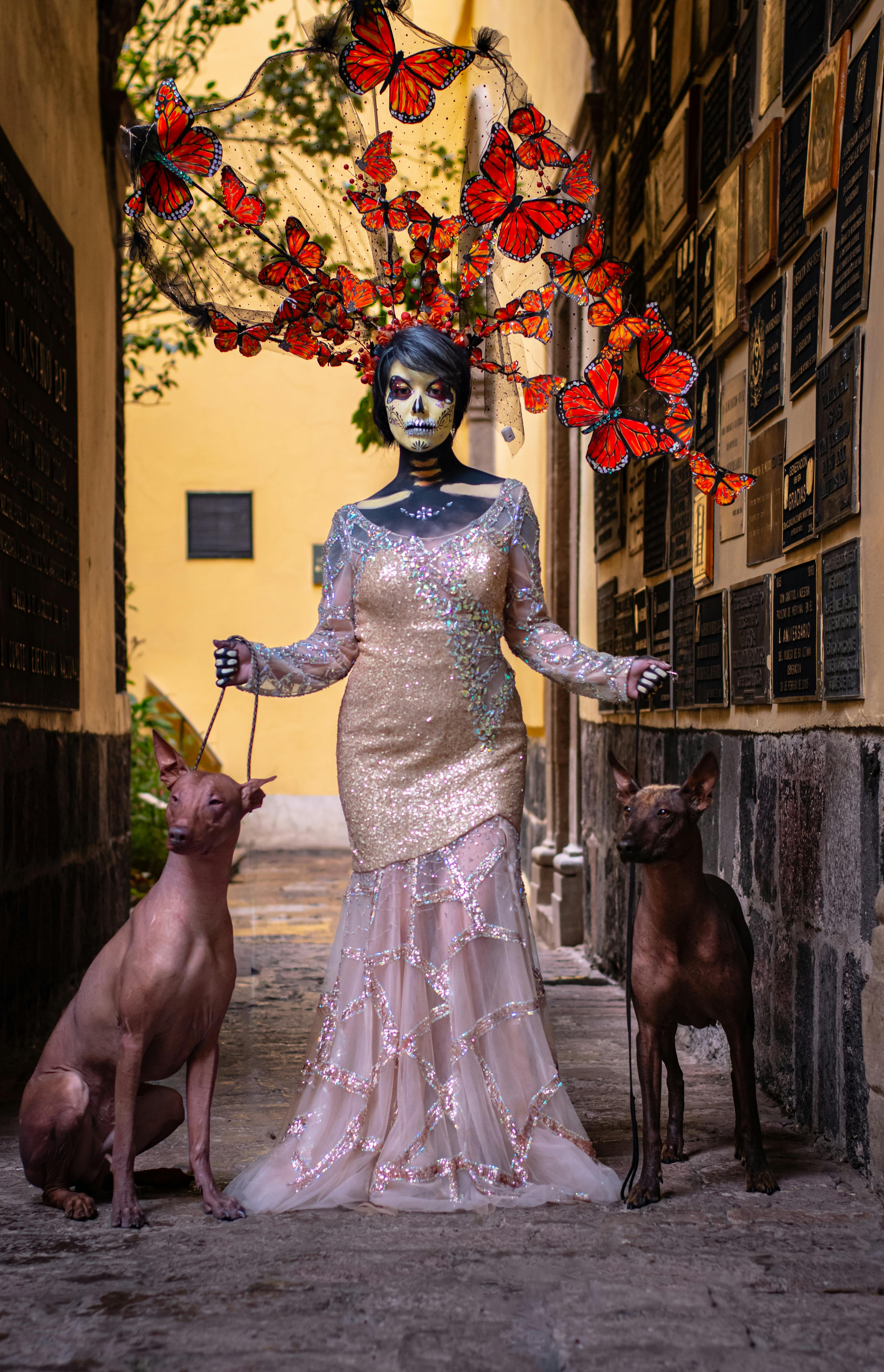 Dress Animation Photos, Download The BEST Free Dress Animation Stock ...