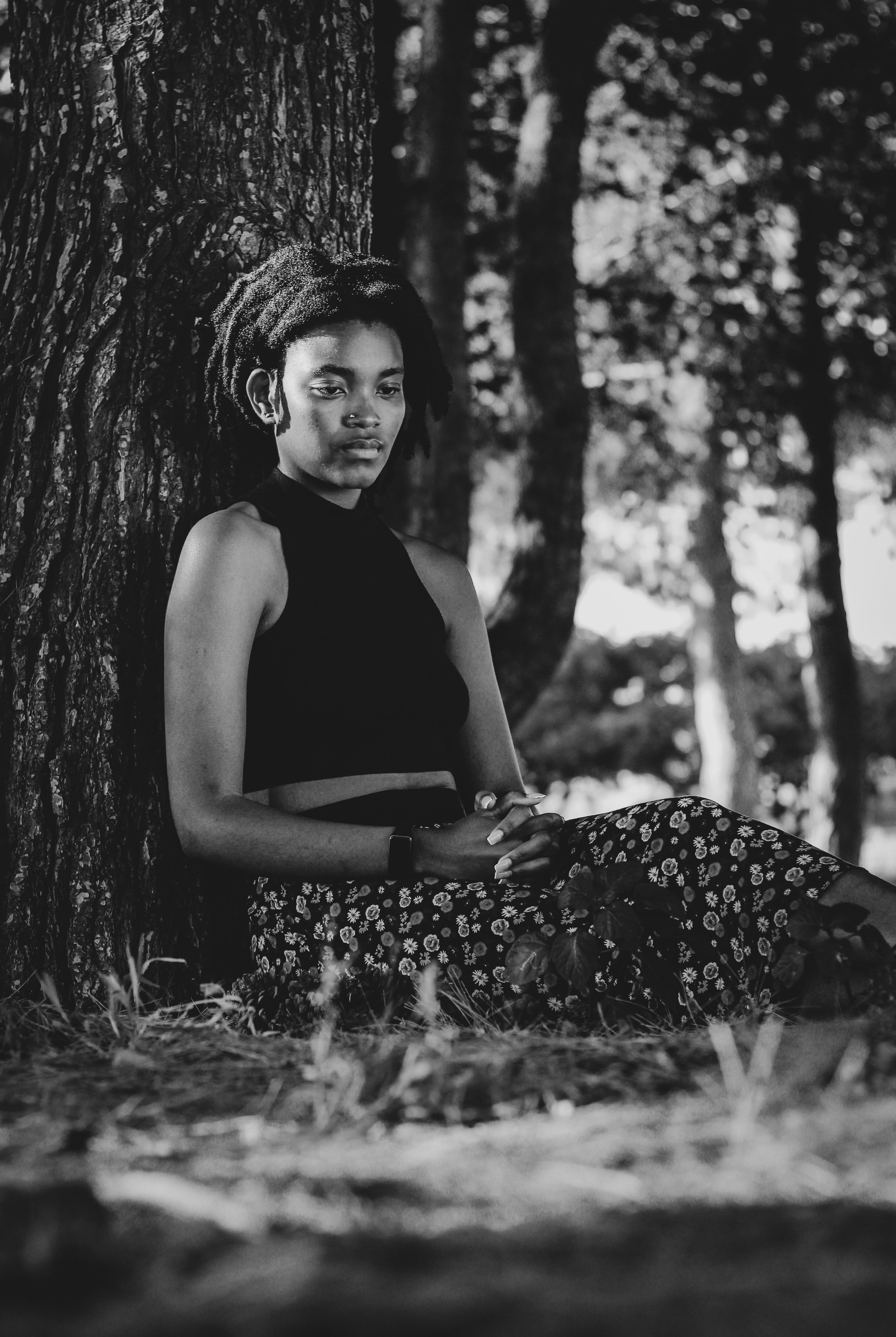 Tree Bast Photos, Download The BEST Free Tree Bast Stock Photos & HD Images