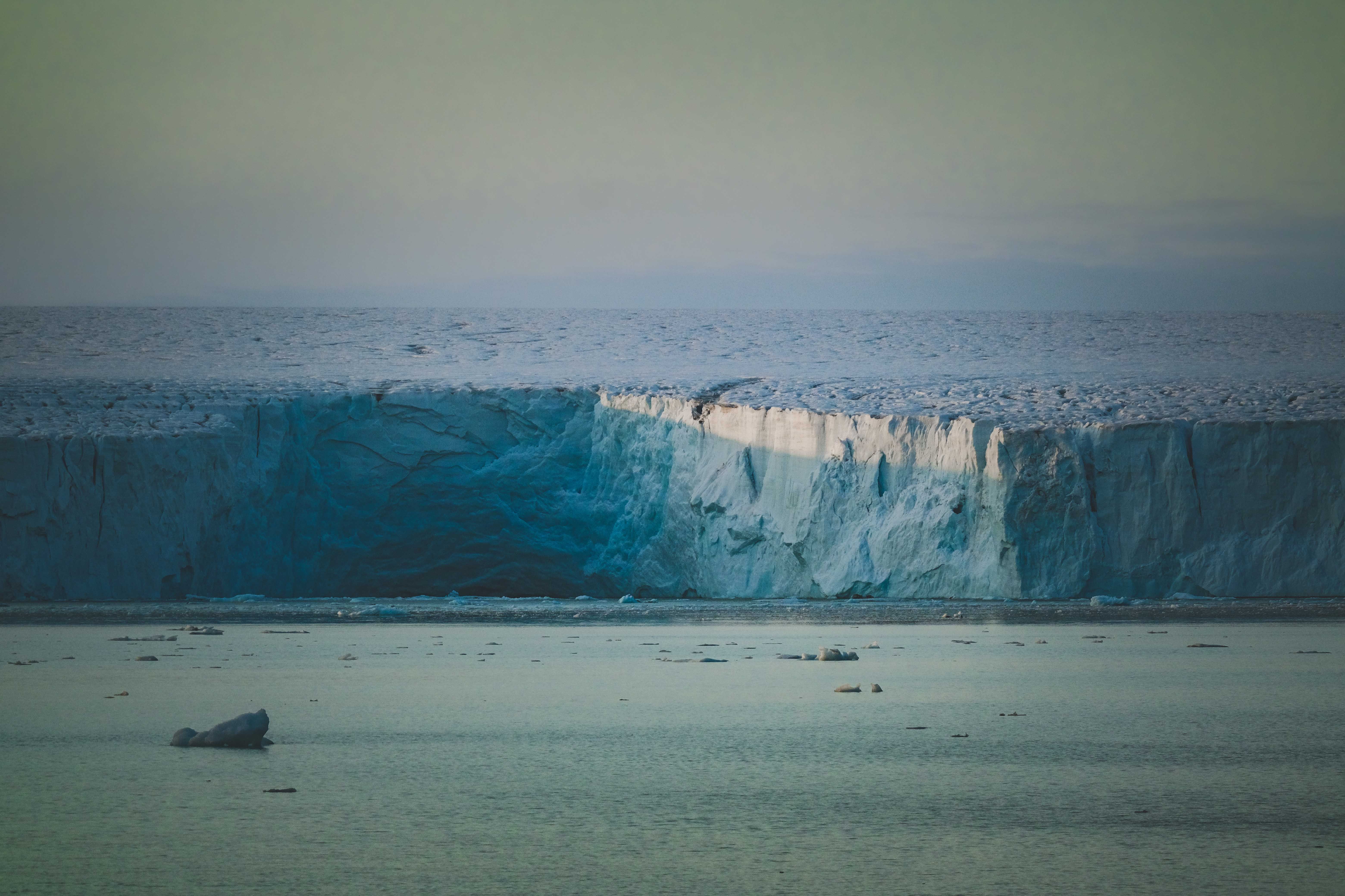 Frozen Sea Shore · Free Stock Photo