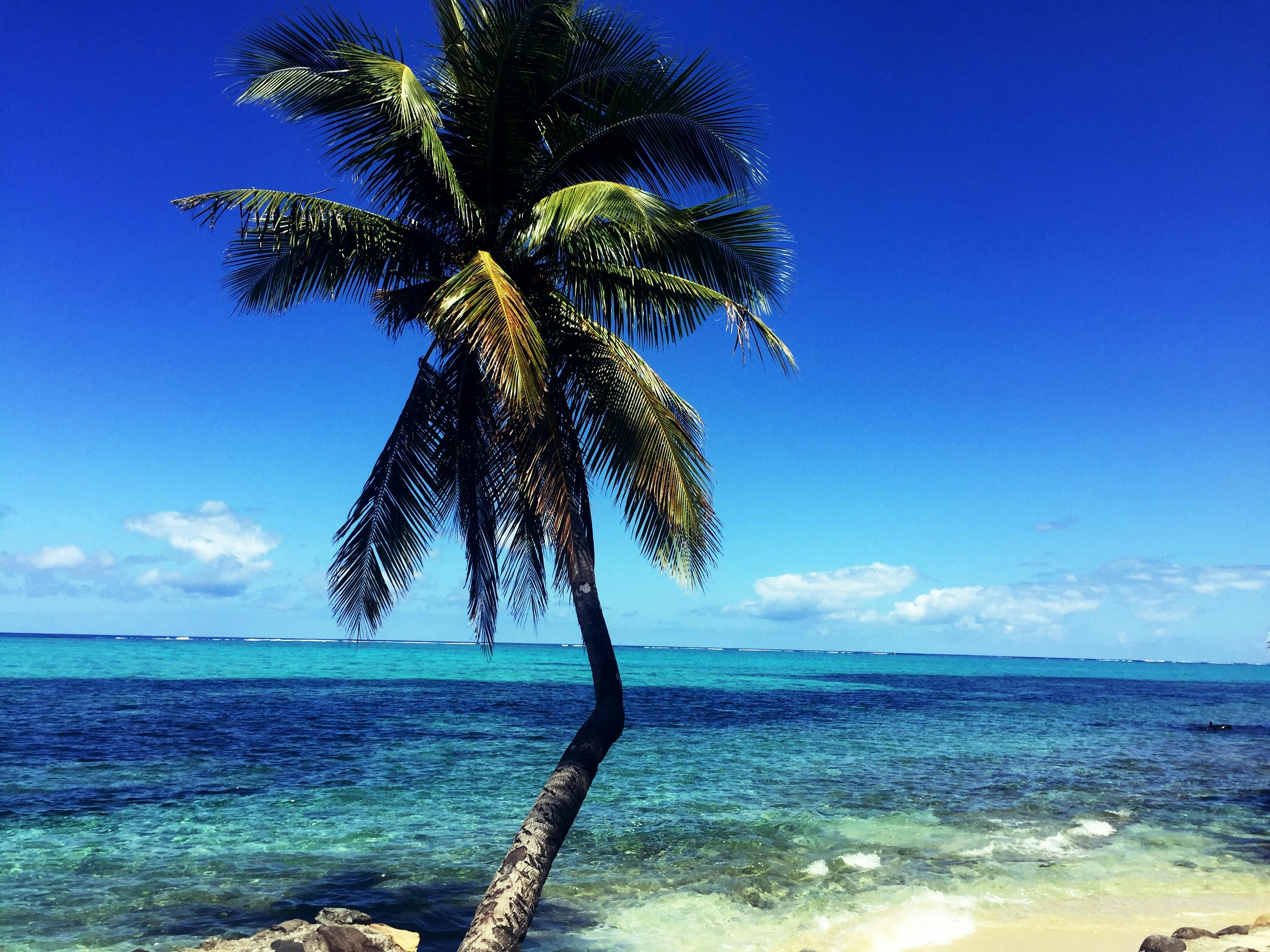 Isabelle Bruce - 摄影