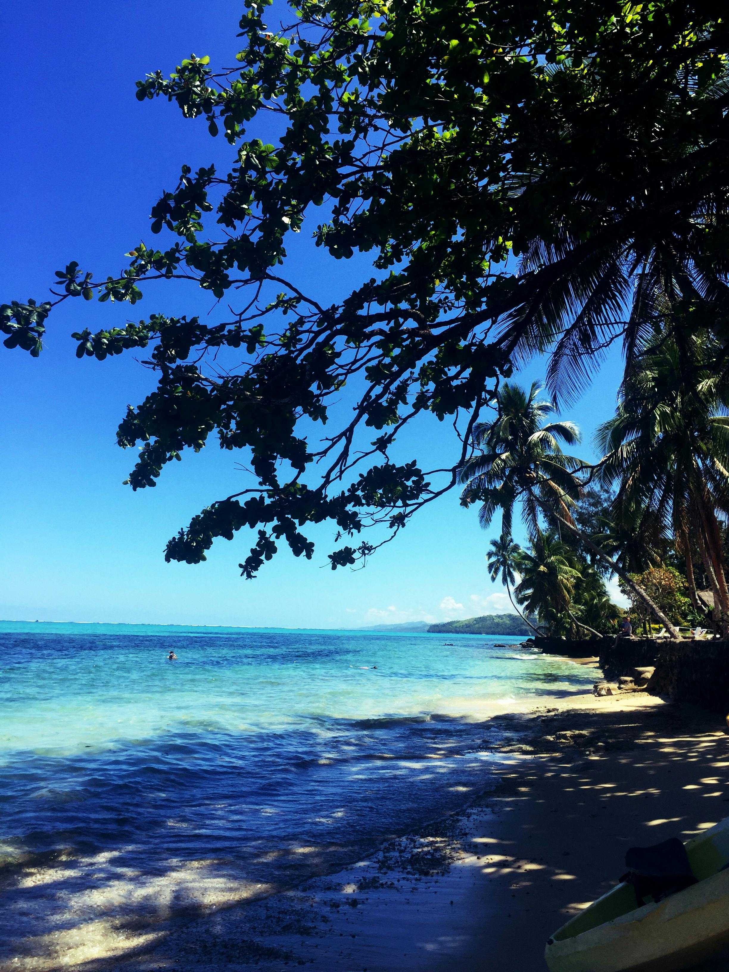 Isabelle Bruce - Photography