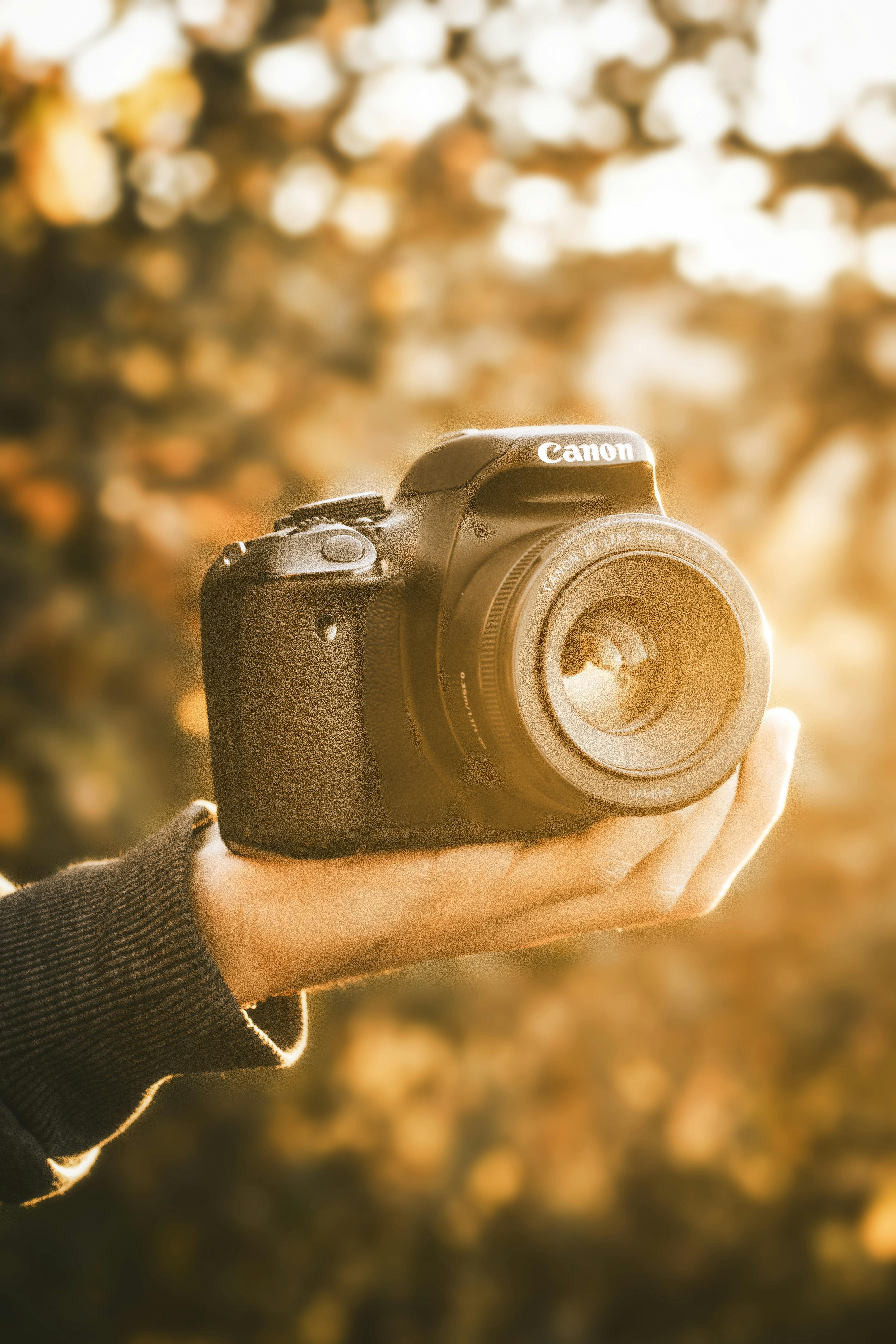 Hand Holding Camera · Free Stock Photo